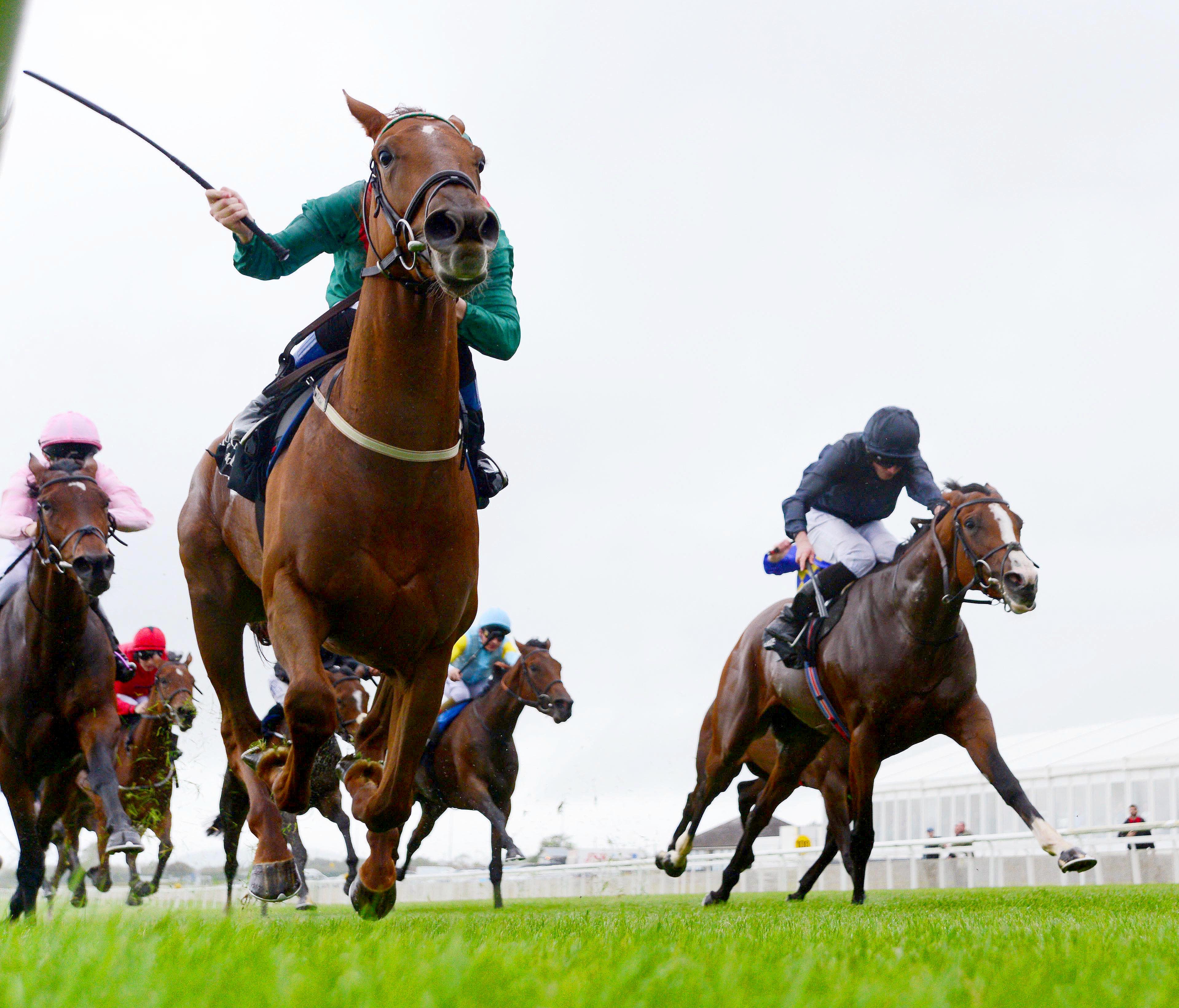 Weld warns that Tarnawa will improve for Ballyroan return