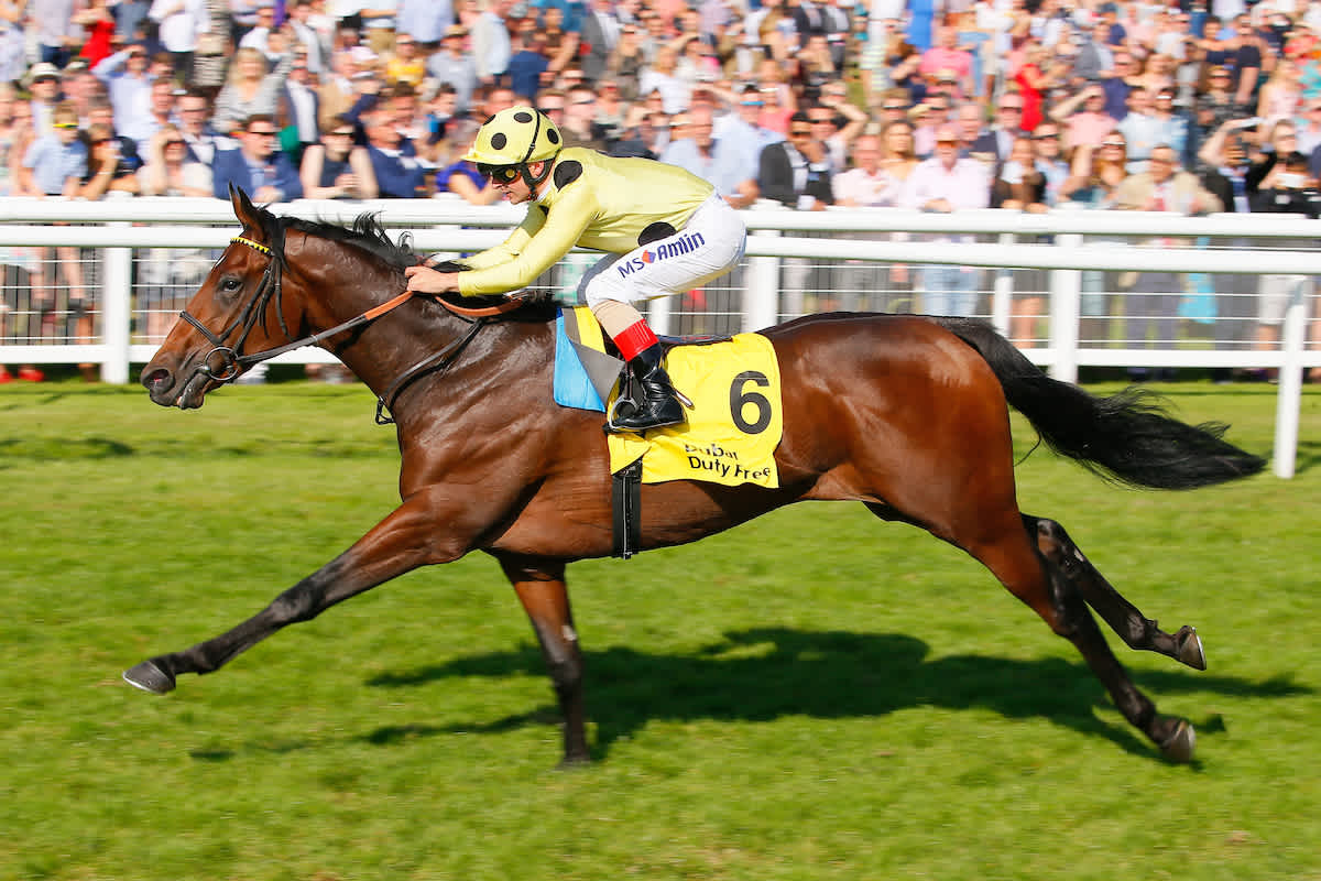 Horse racing tips: Harry Allwood's best bets for Monday