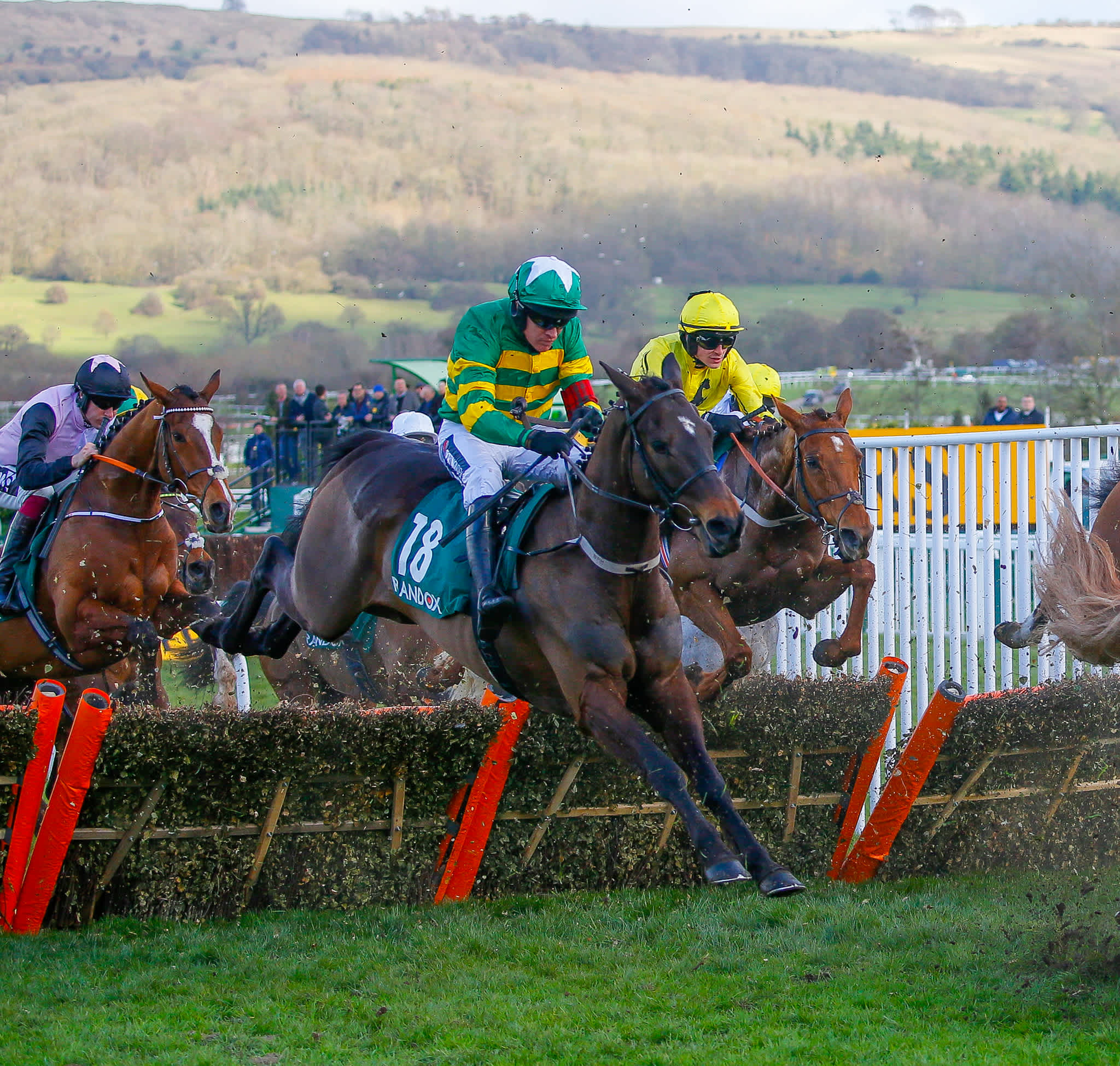 Racing TV presenters and pundits pick their horses to follow for the ...