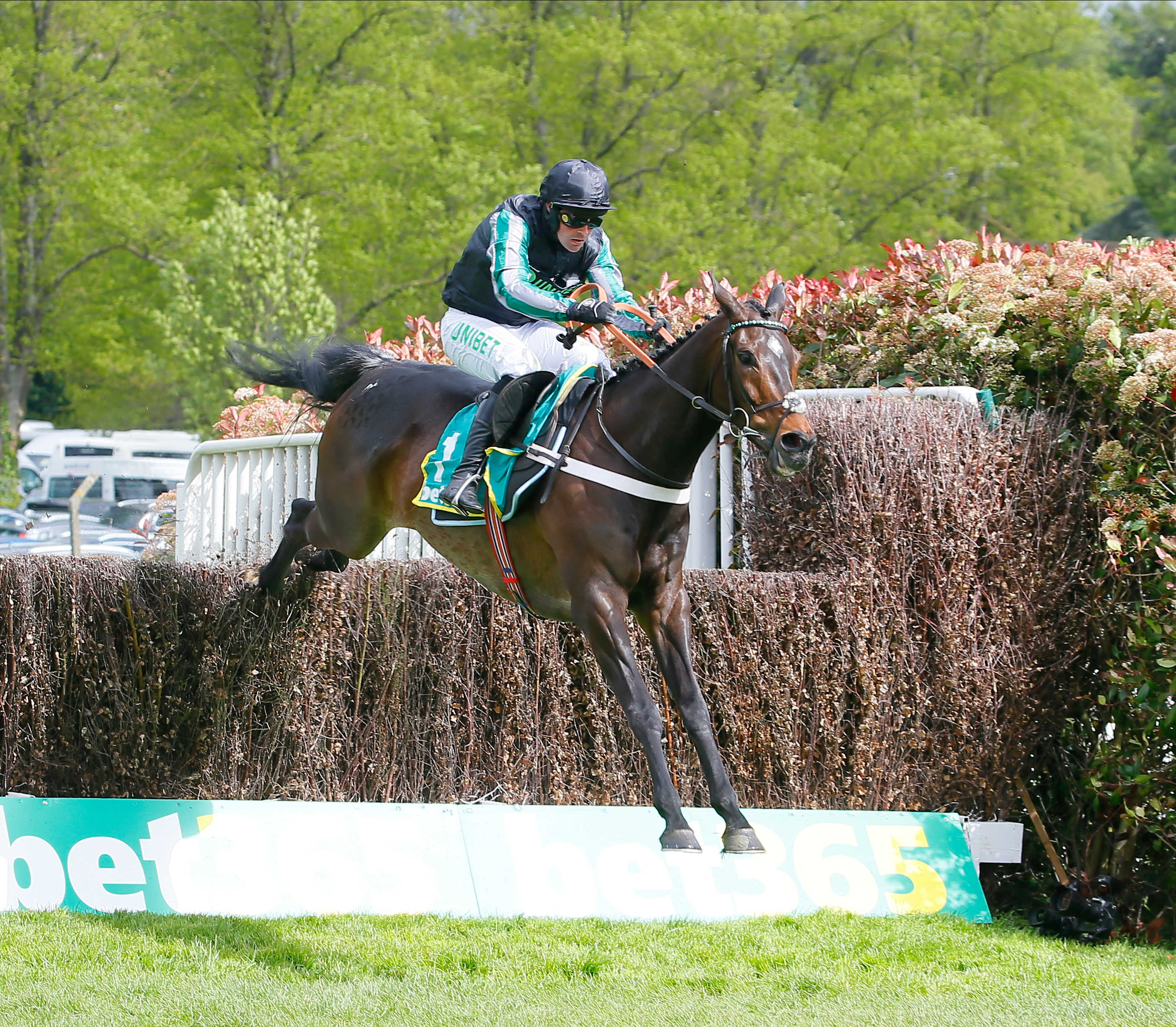 King George on the agenda next season for record-breaker Altior