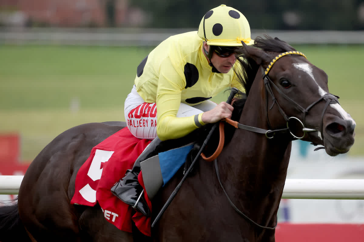 Royal Champion impresses in Doonside Cup at Ayr