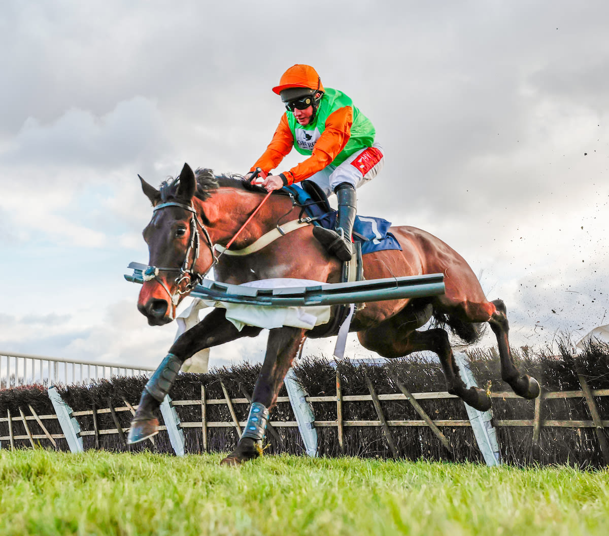 bet365 Morebattle Hurdle: five runners for your shortlist