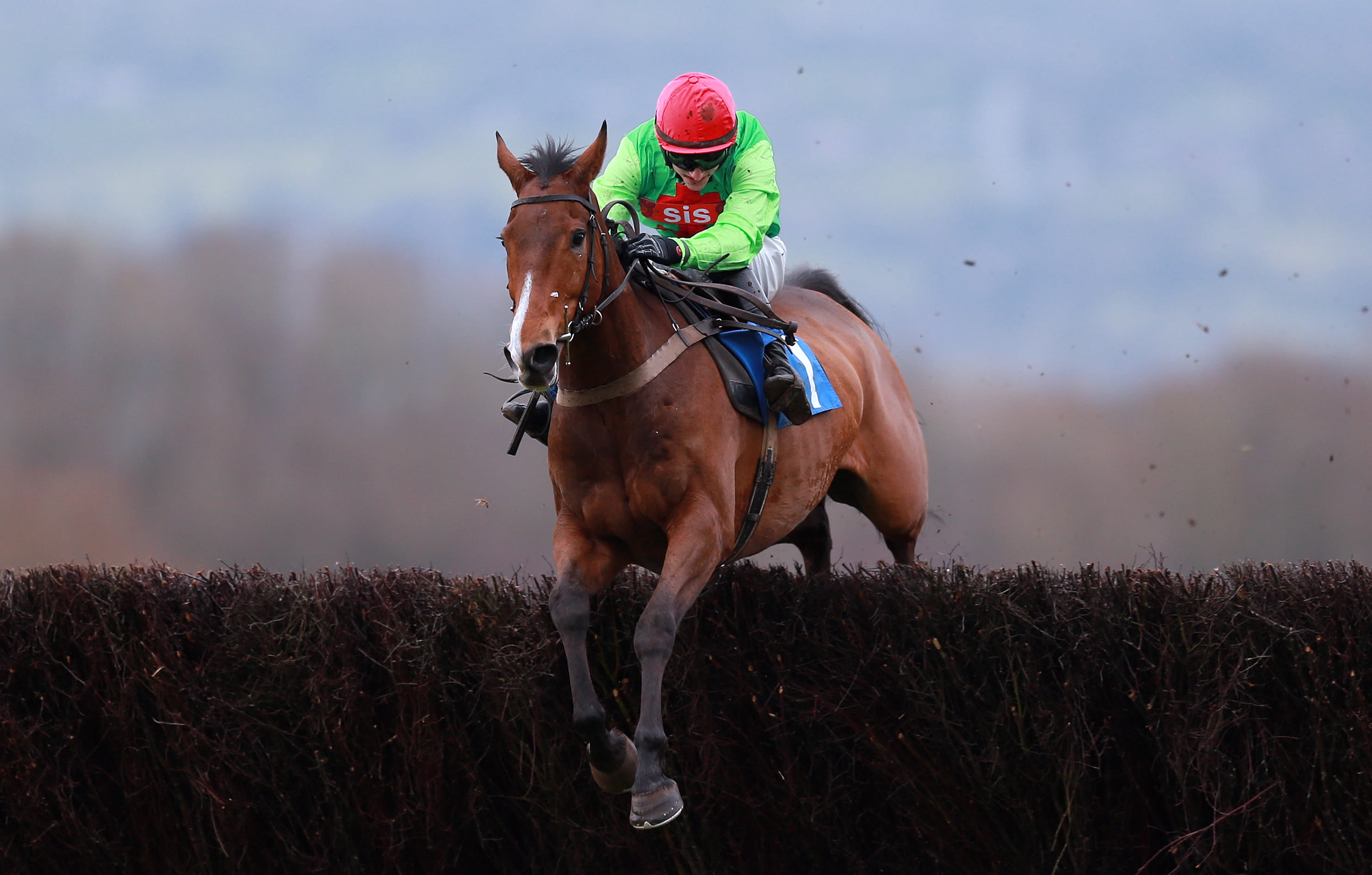 Johnny Ward's alternative guide to finding the Grand National winner