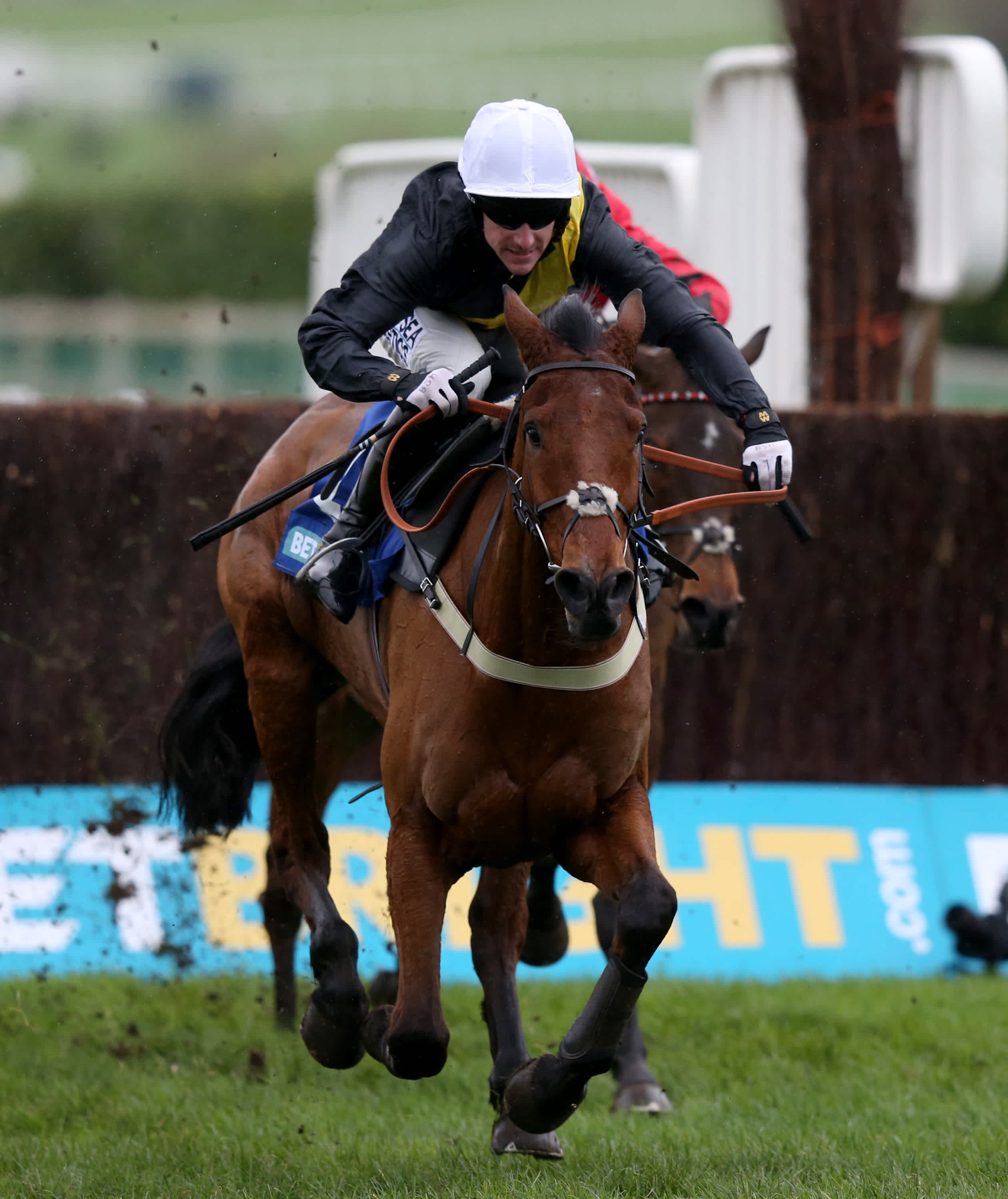 Johnny Ward's alternative guide to finding the Grand National winner