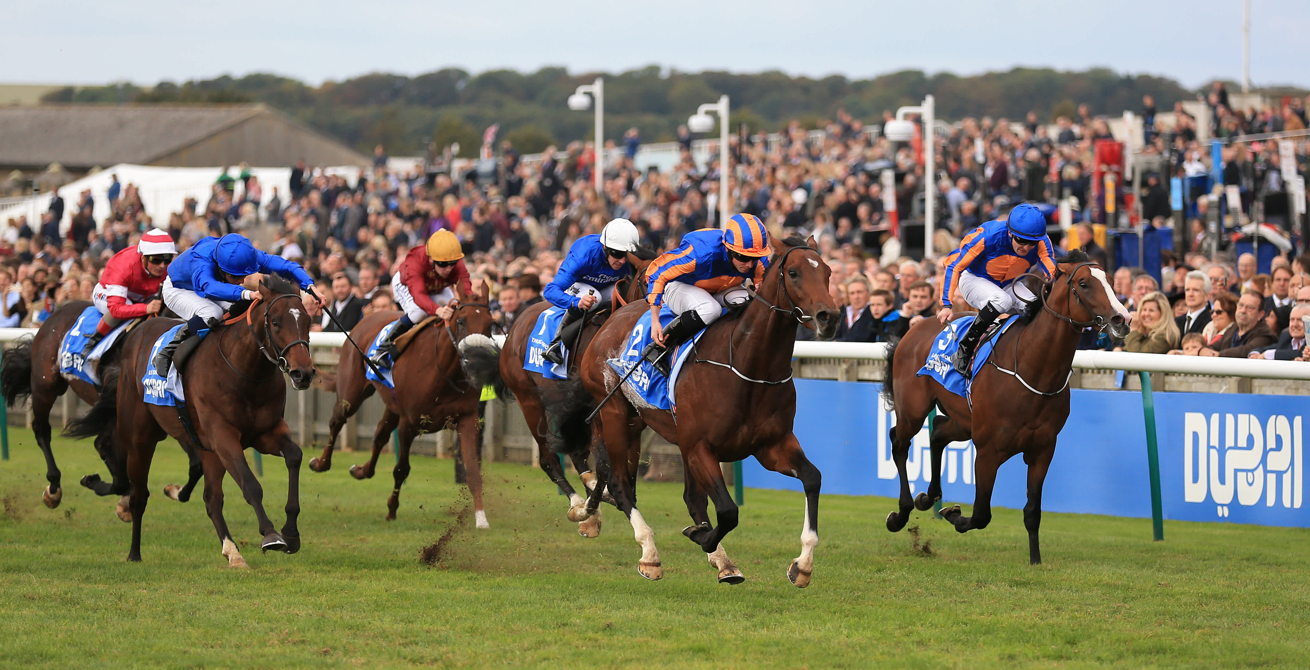 Cesarewitch prize money to hit £1million within two years