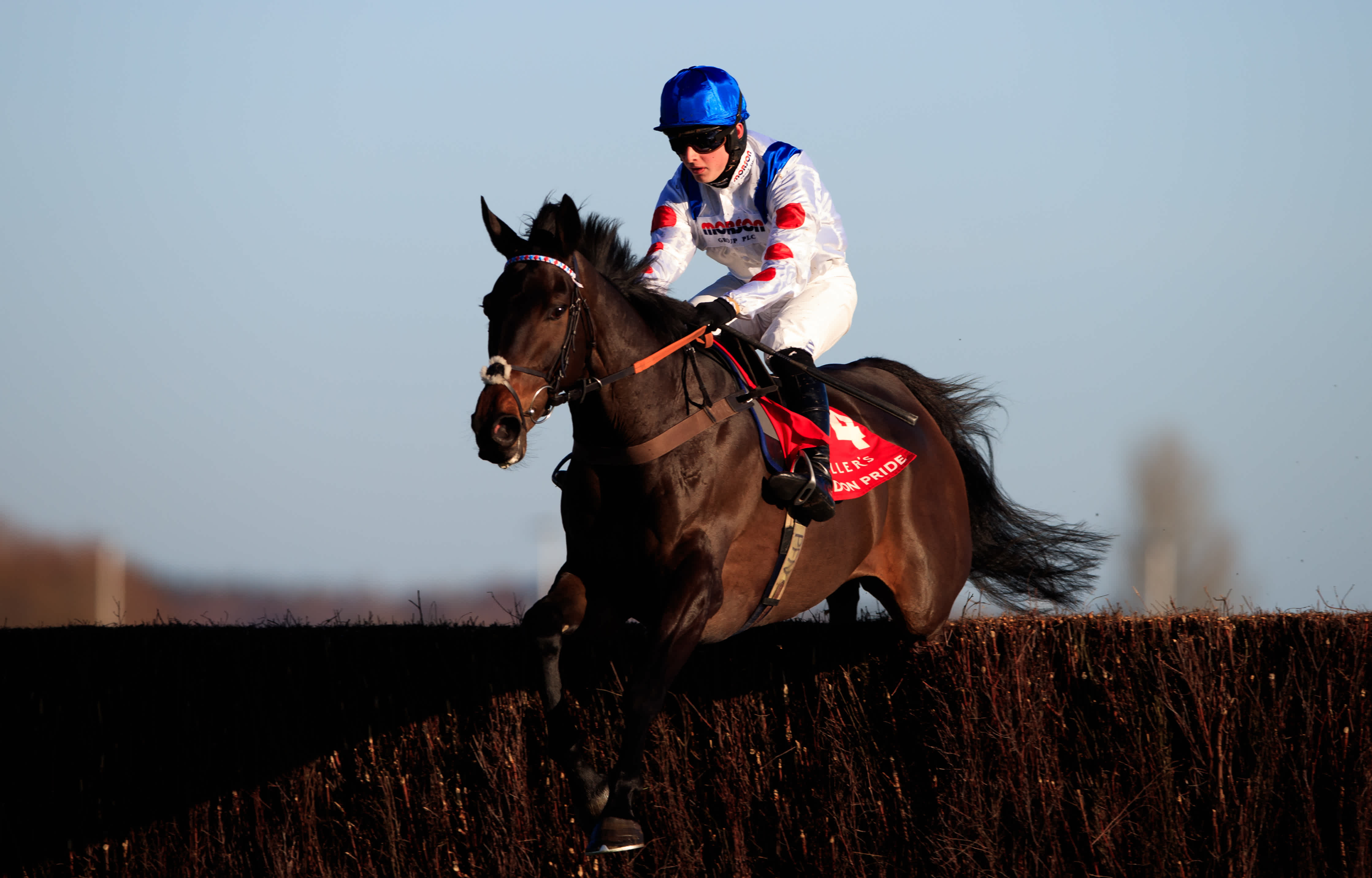 Ladbrokes Champion Chase: Runner-by-runner guide to Down Royal's showpeice
