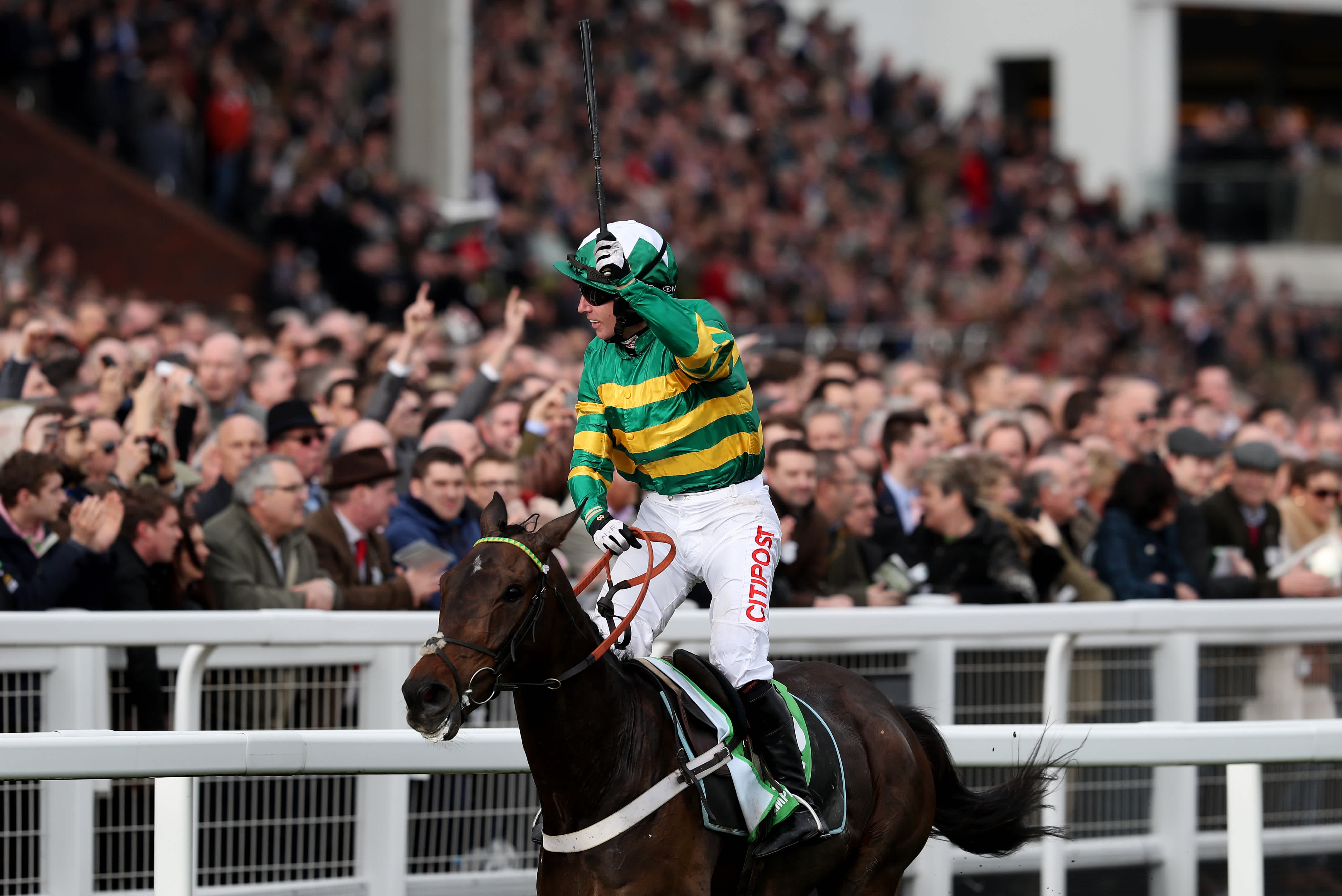 The 2019 Unibet Champion Hurdle: Runner-by-runner guide