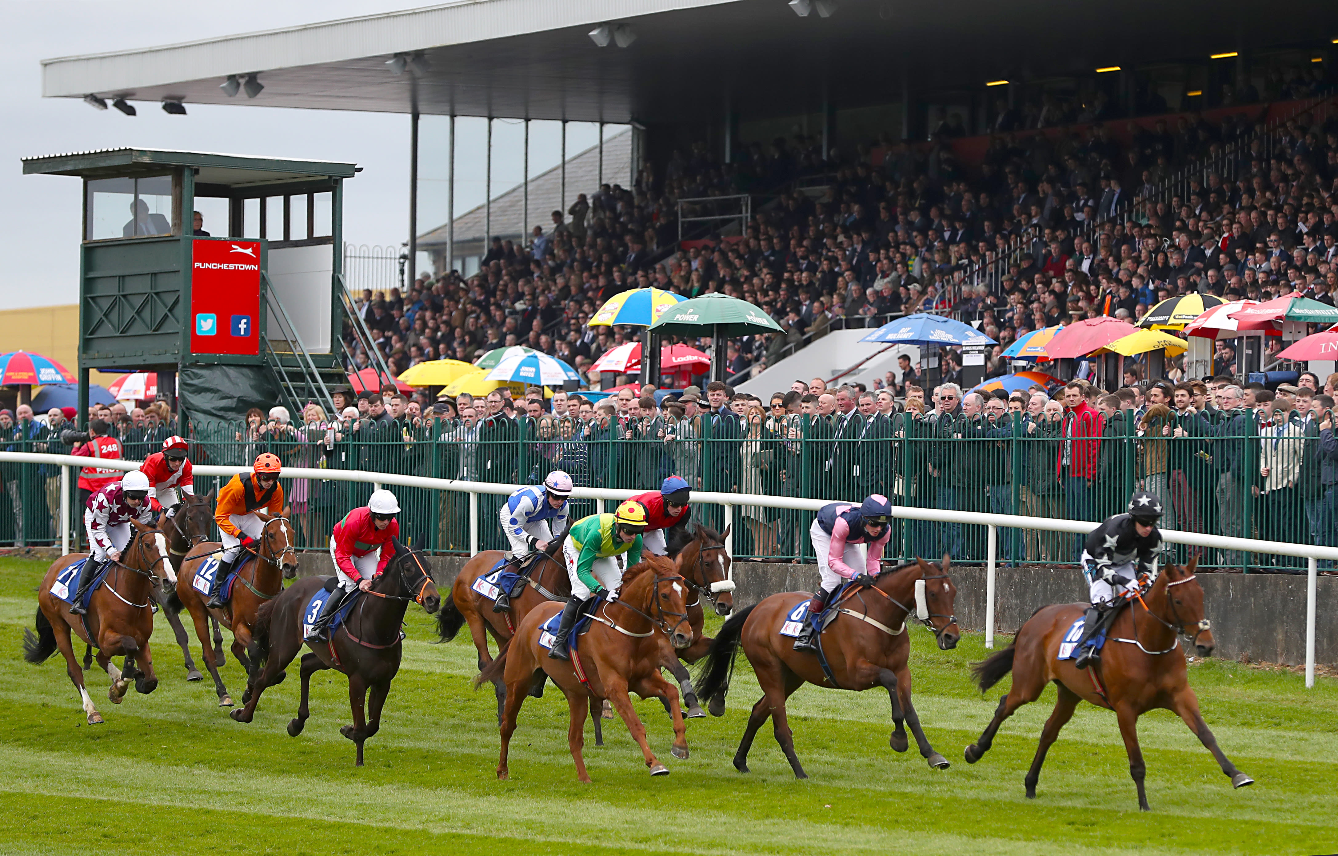 2019 Punchestown Festival: The key facts and figures you may not know