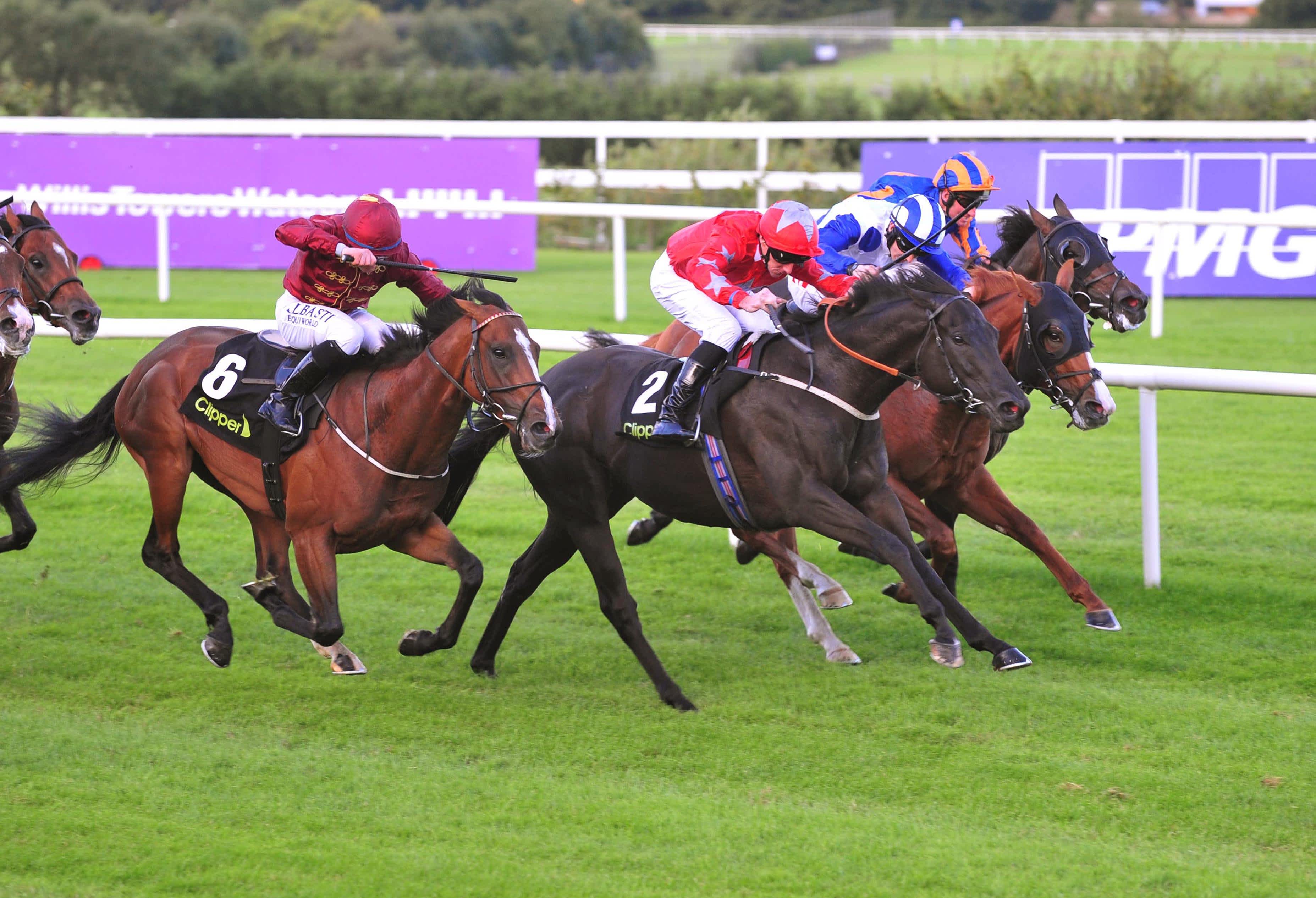 How To Bet £20 on Saturday: Rely on Pablo power in Derby Trial at 8-1