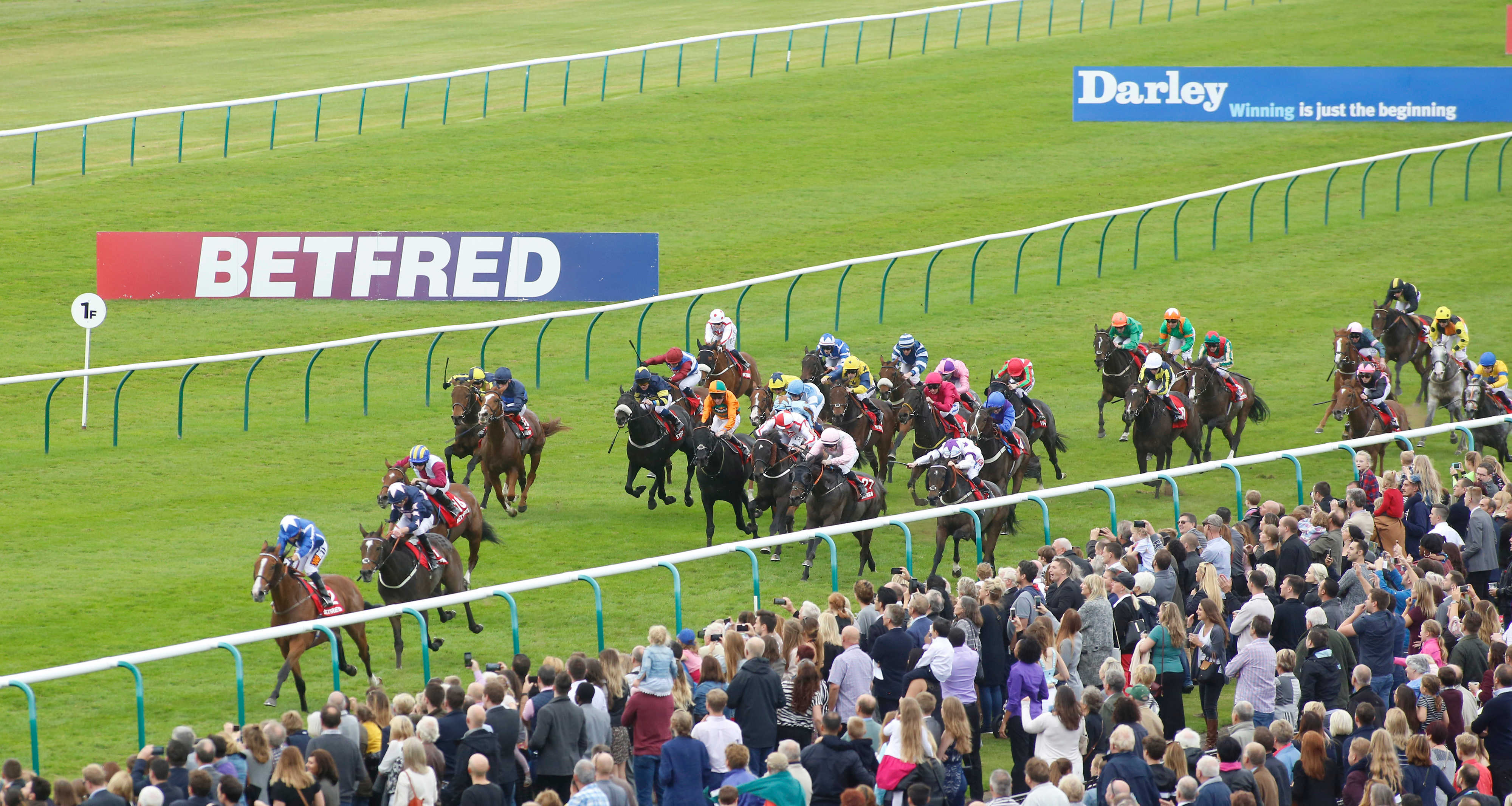 Placepot Pointers: Your guide to the first six races at Newmarket today
