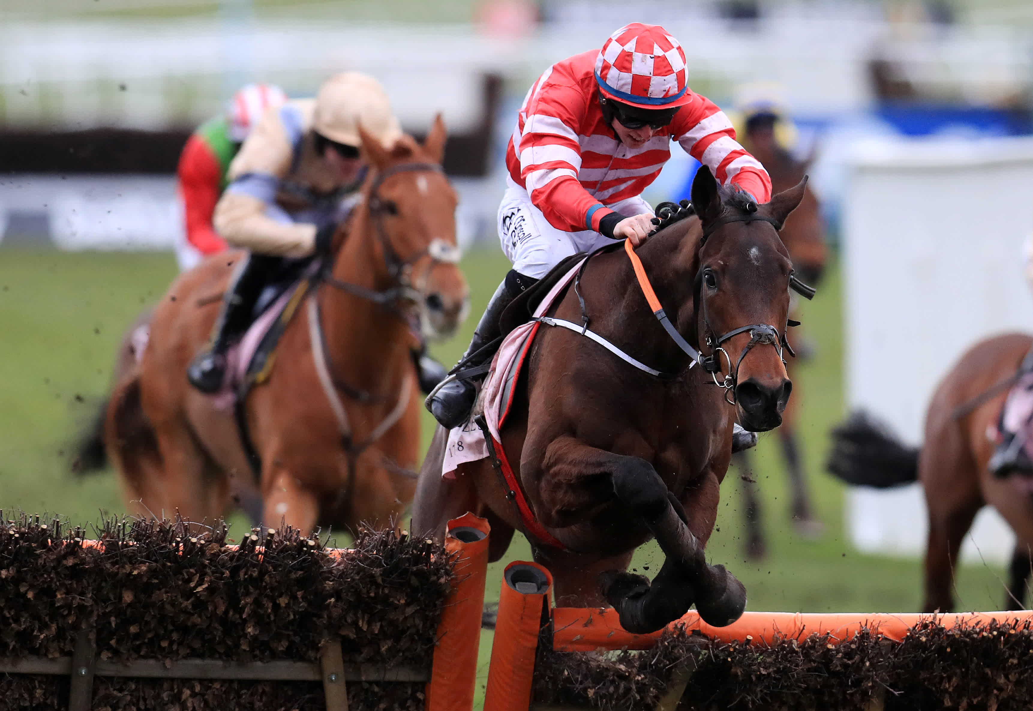 Tony Calvin's top tips for Bank Holiday Monday: Boy looks man enough ...