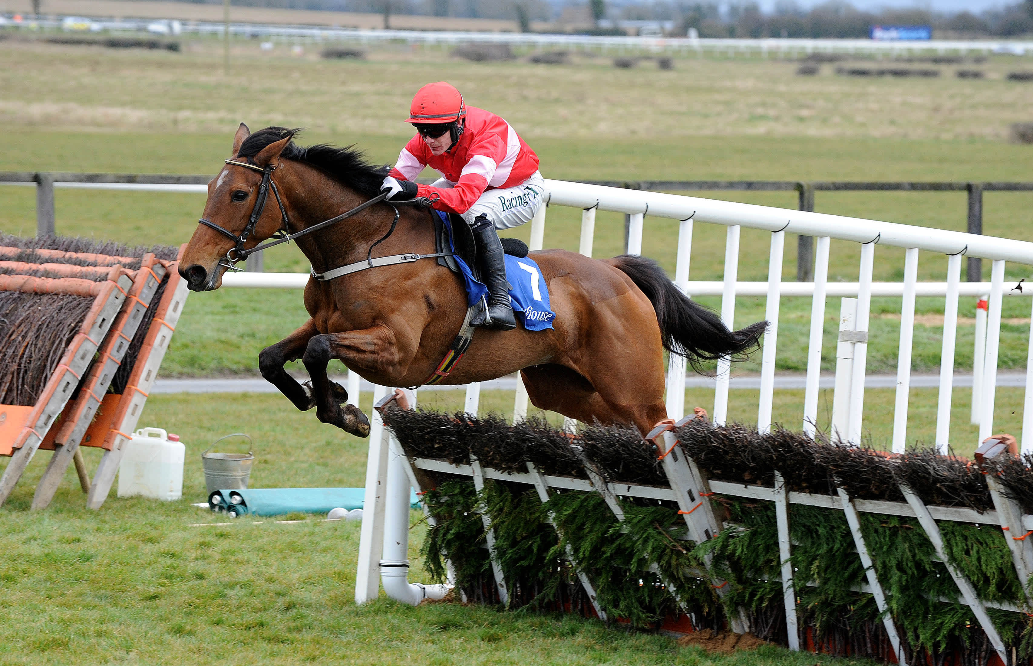 Johnny Ward's top tips for the 2019 Punchestown Festival