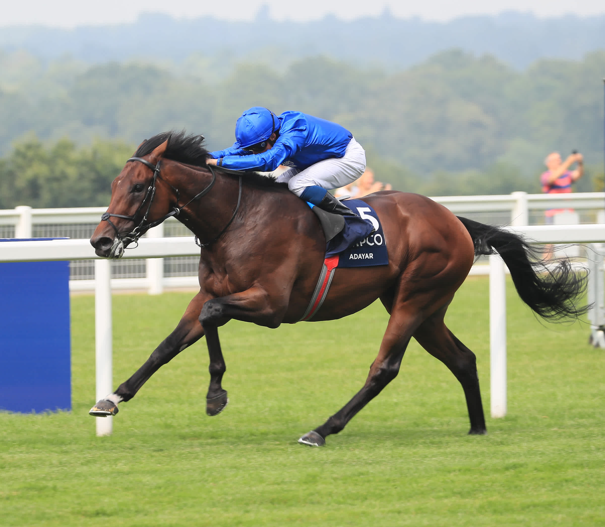 Adayar the first Derby hero since Galileo to win King George