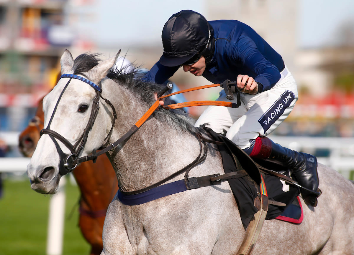 Snow Leopardess seeks fairytale Grand National success