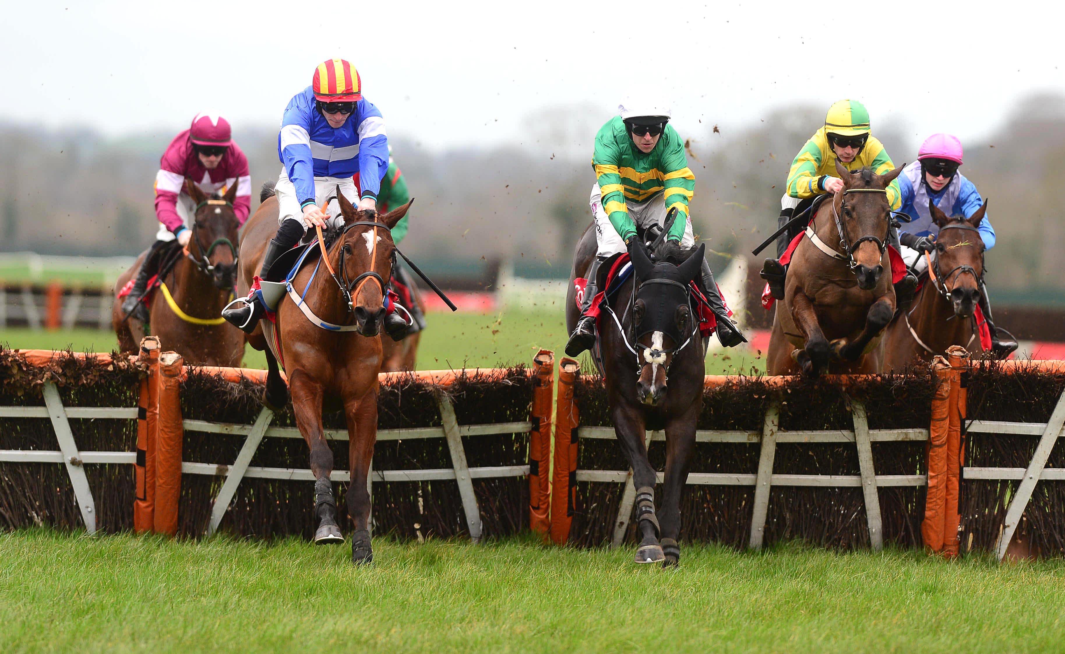 Johnny Ward's Irish Angle: Foxy Jacks overpriced to strike for Mouse Morris