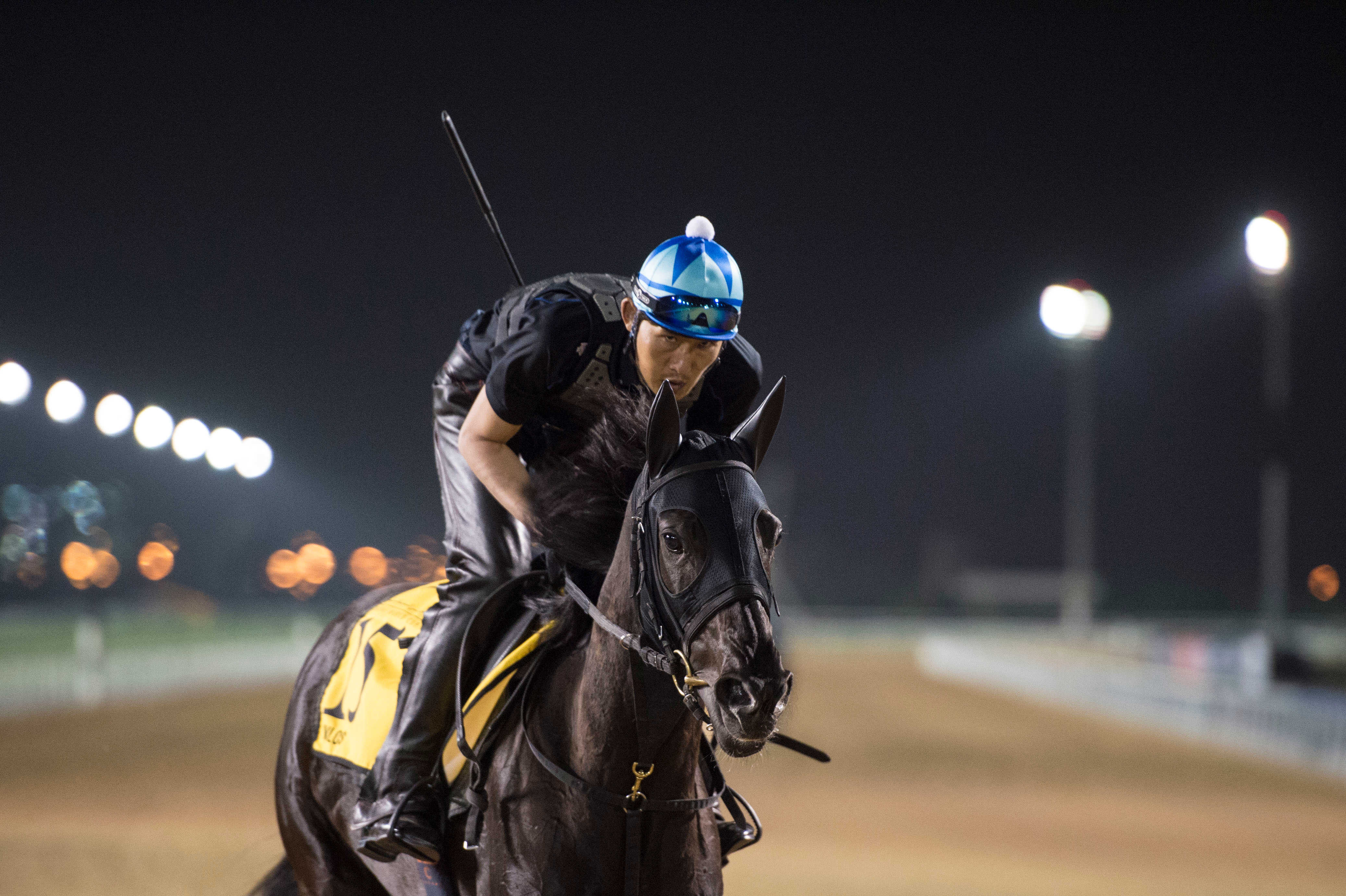 Geoffrey Riddle's postcard from Dubai: Beware the Japanese in the Turf