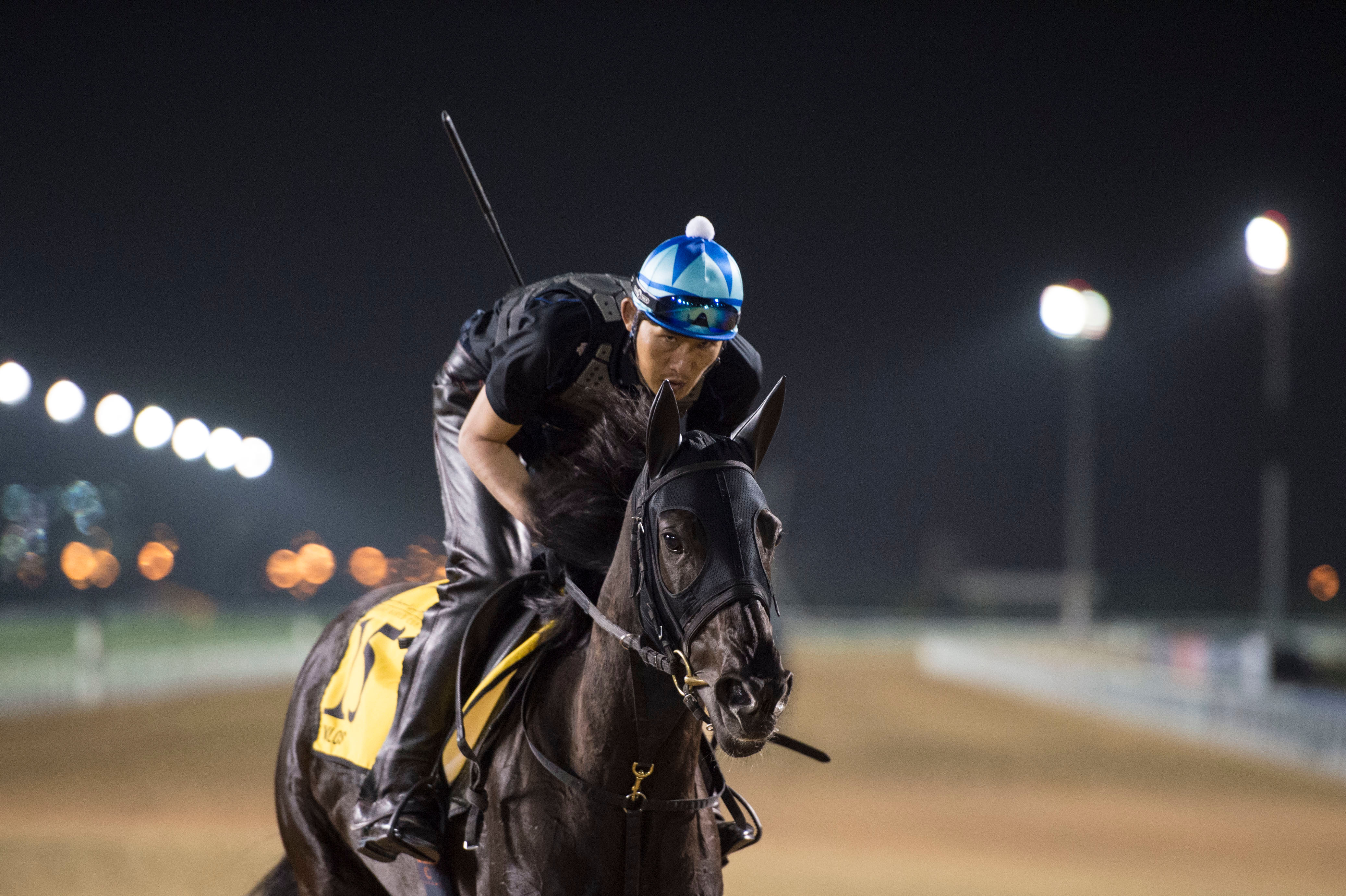 Geoffrey Riddle's postcard from Dubai: Beware the Japanese in the Turf