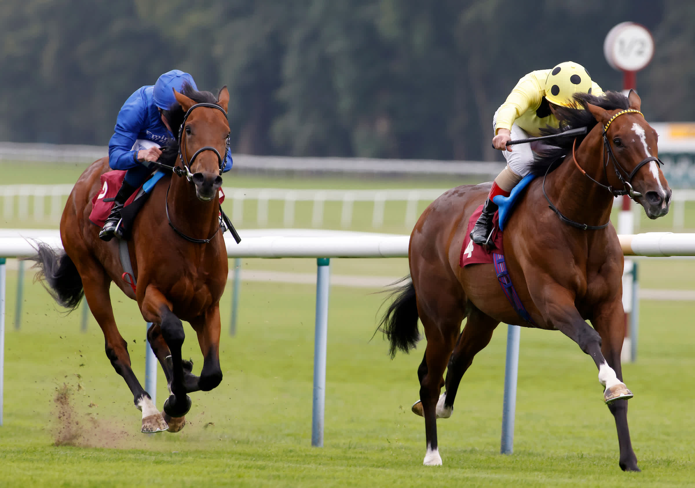 Notes And Angles: Eyecatchers and horses to follow