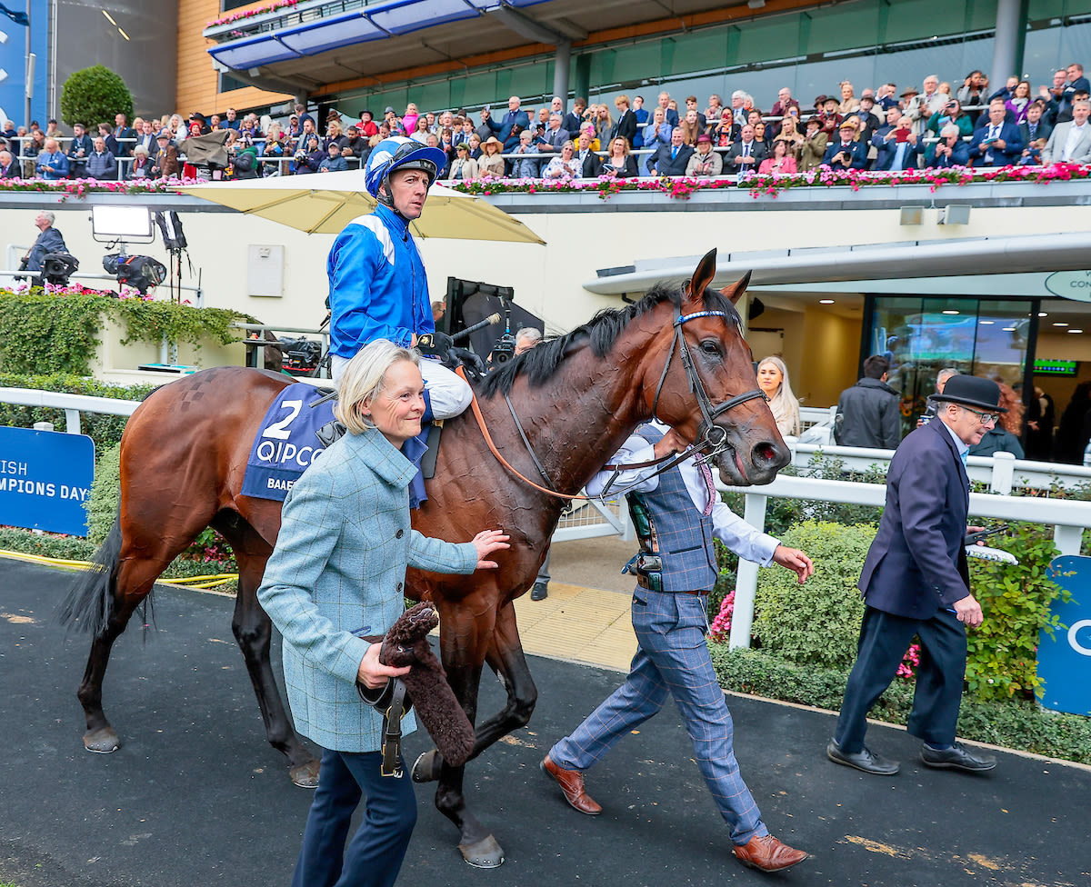 Champion Stakes: Bay Bridge spoils party for Baaeed at Ascot