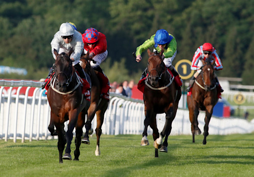 The Latest Horse Racing News & Results From Racing TV