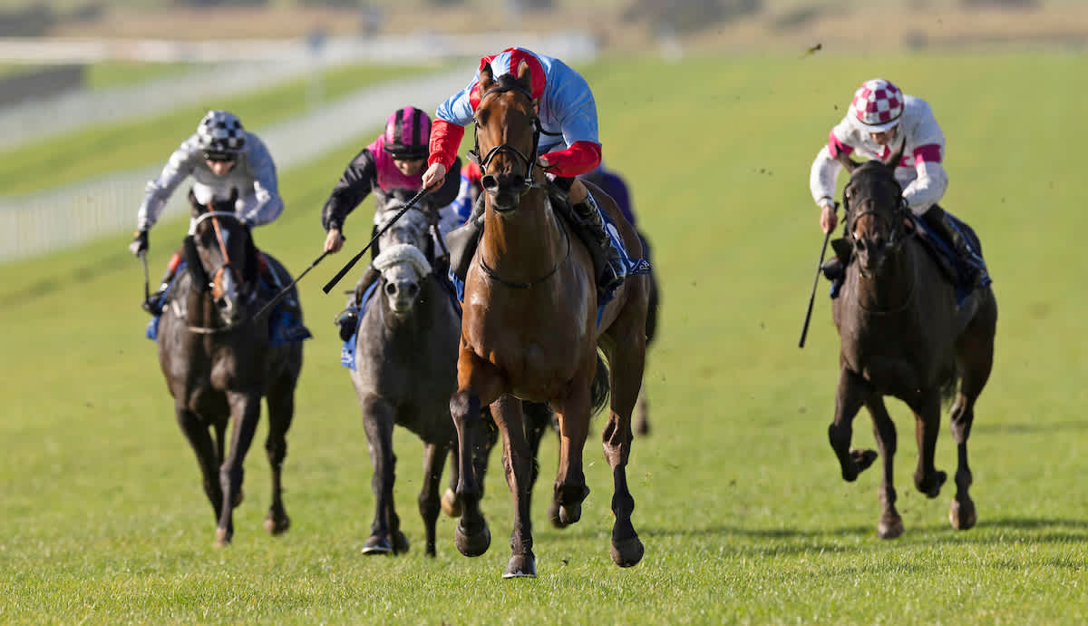 Phoenix Sprint Stakes: "I'll be disappointed if he’s beat"