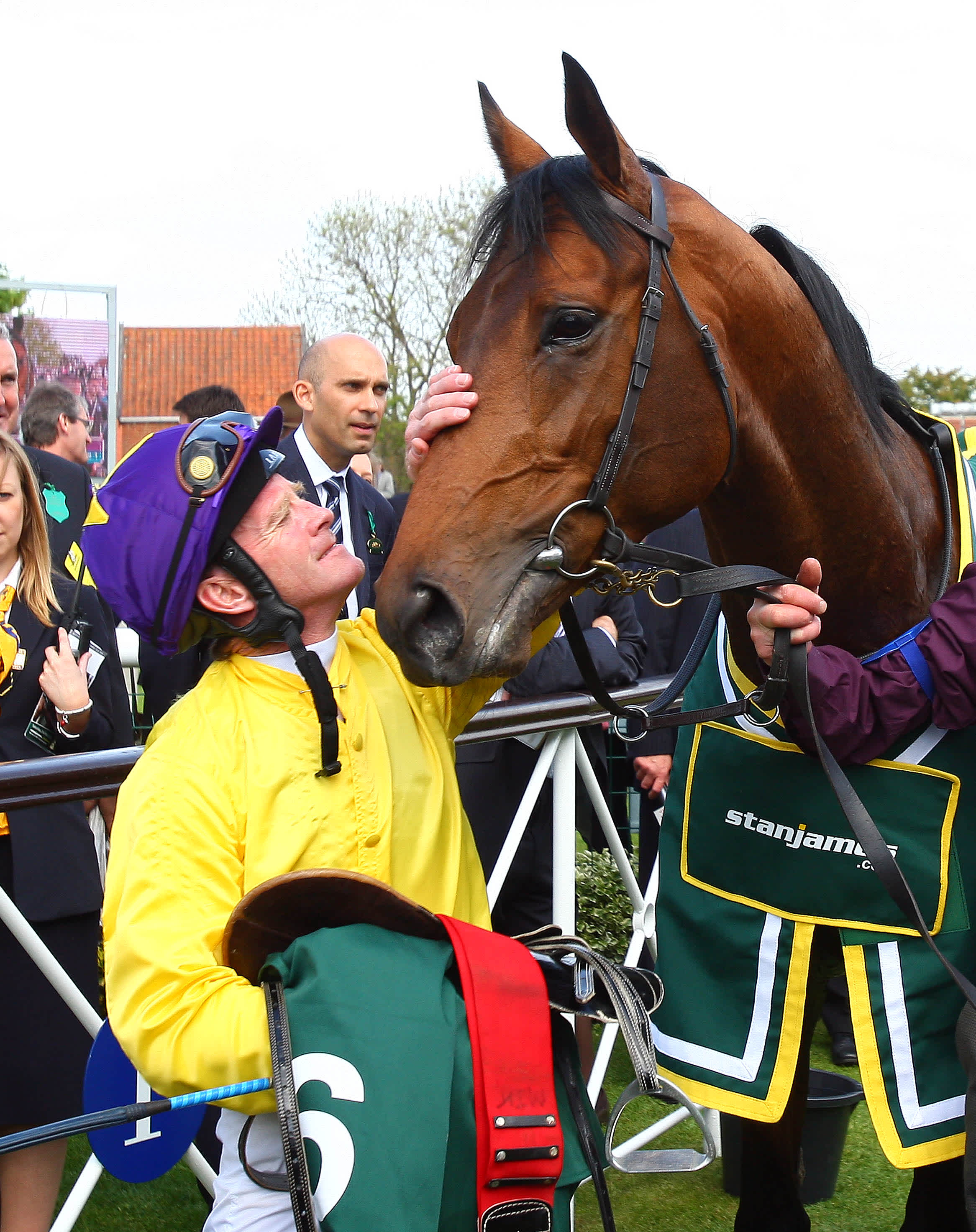 Horses That Made History: Magnificent Sea The Stars was one of a kind
