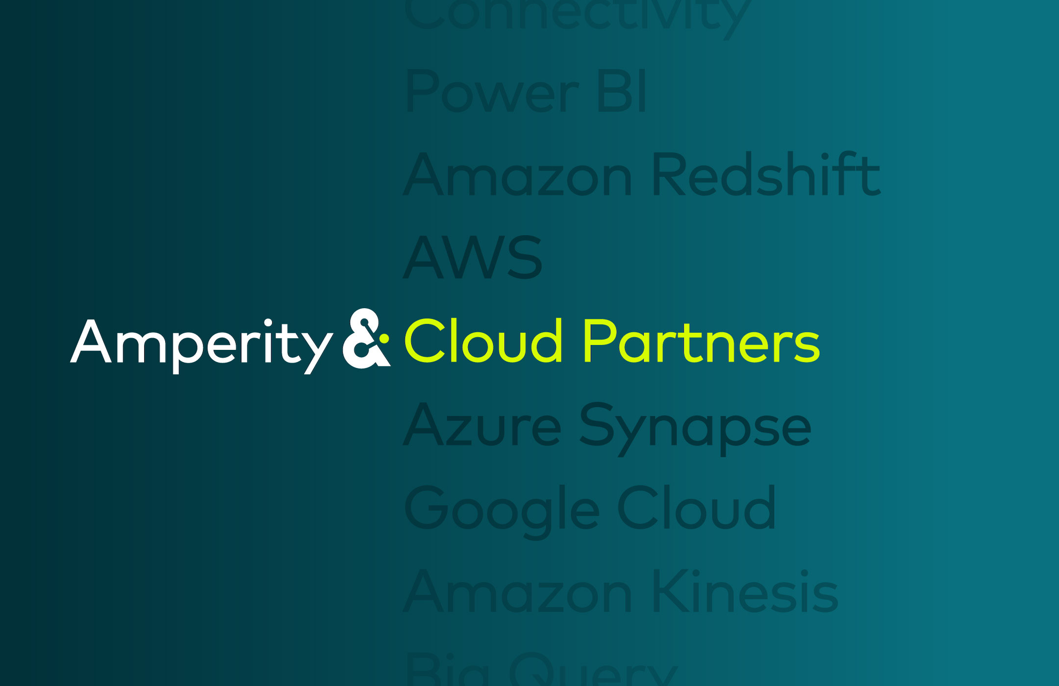 Cloud Partners | Amperity