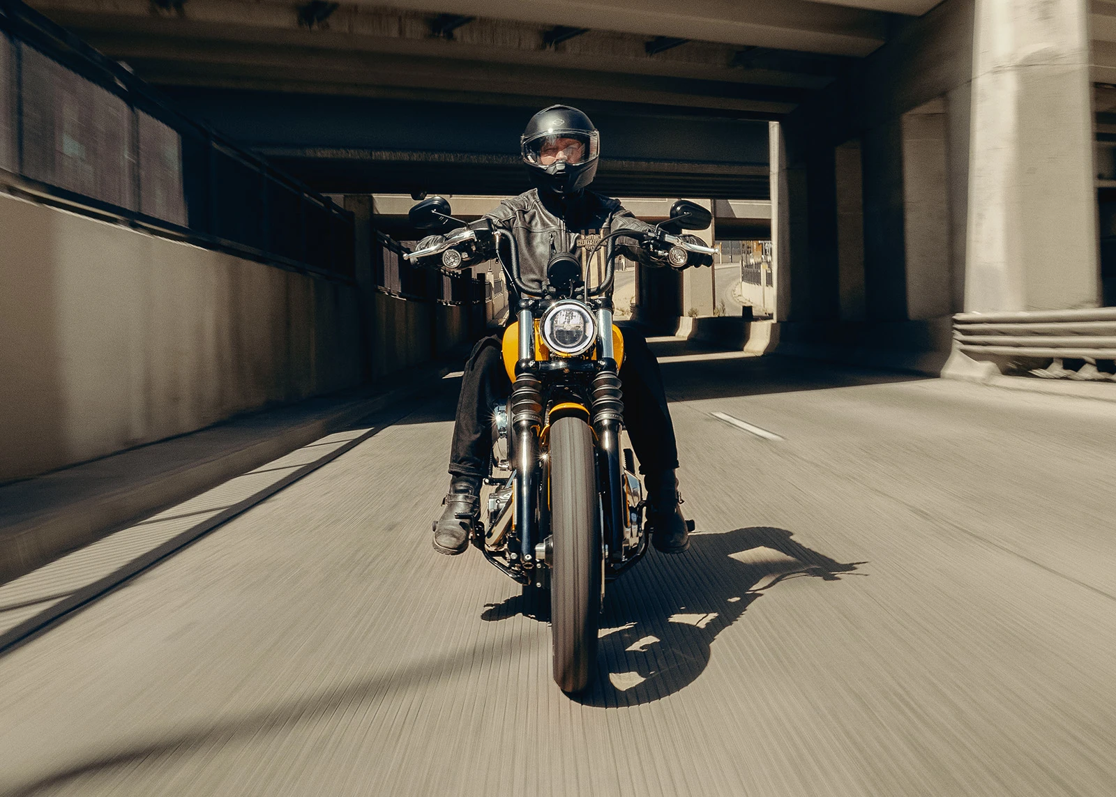 2025 Street Bob Motorcycle | Harley-Davidson IN
