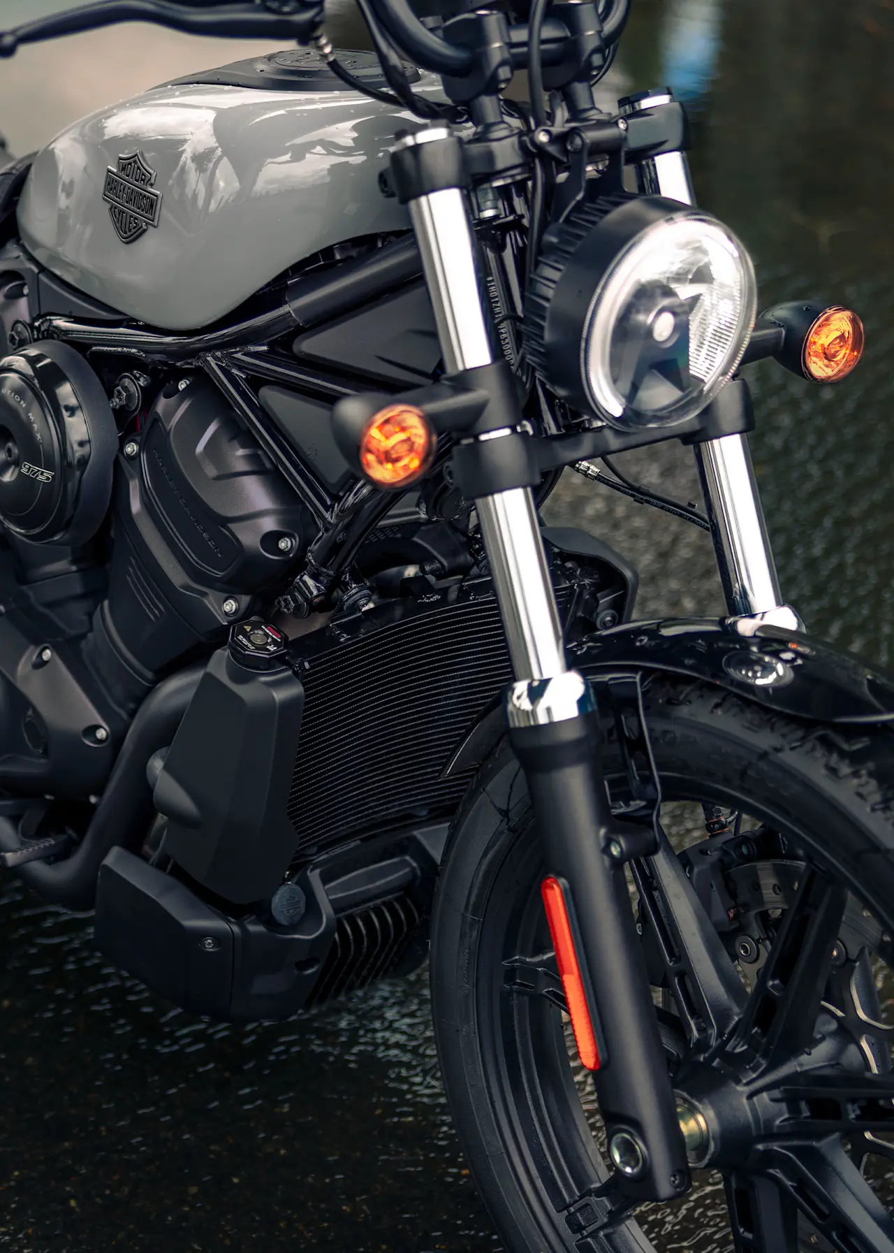 2025 Nightster Motorcycle | Harley-Davidson USA