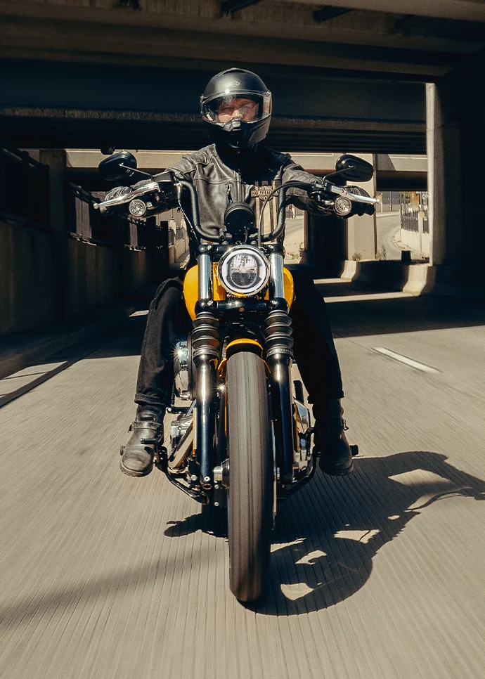 2025 Street Bob Motorcycle | Harley-Davidson IN