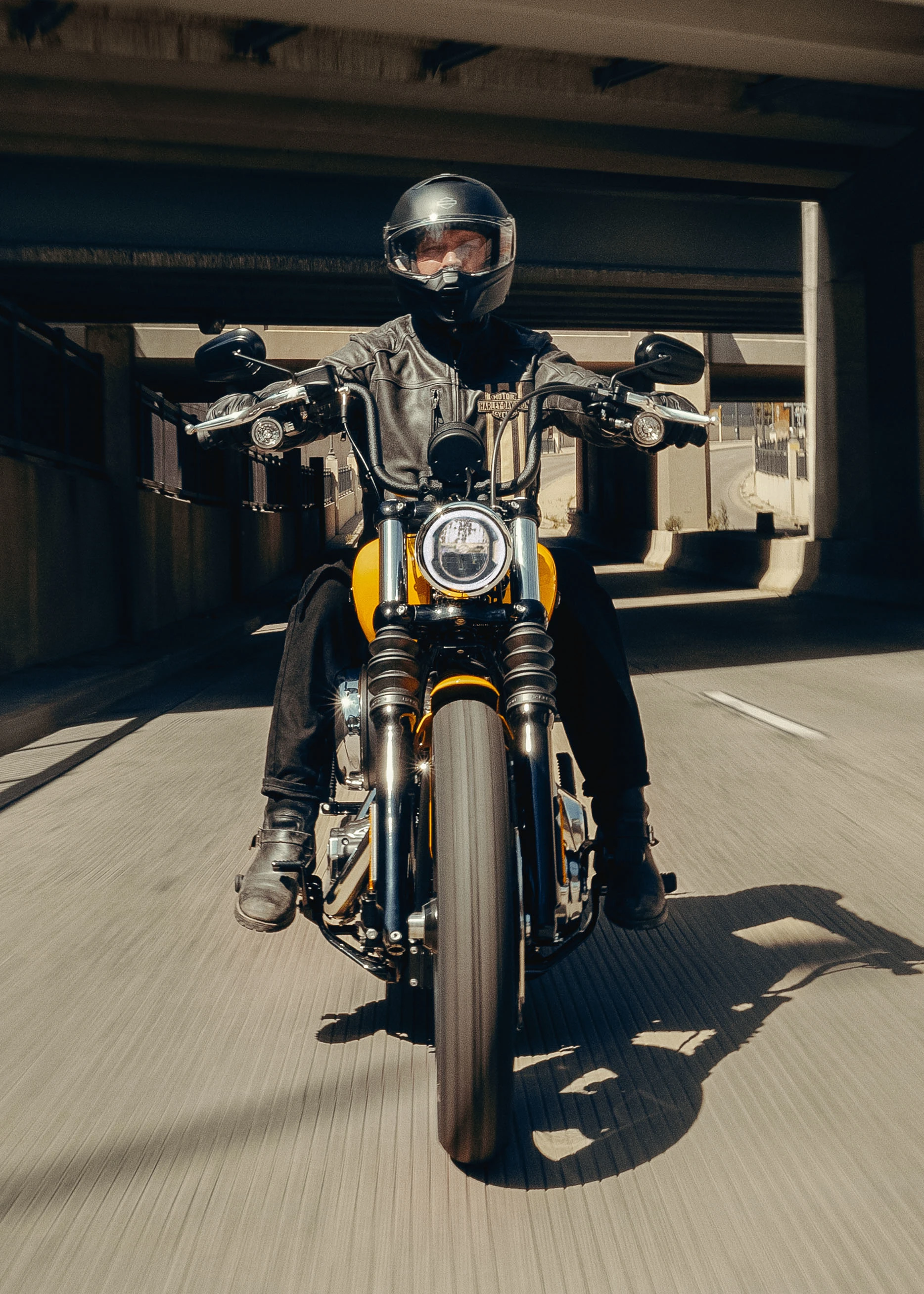 2025 Street Bob Motorcycle | Harley-Davidson IN