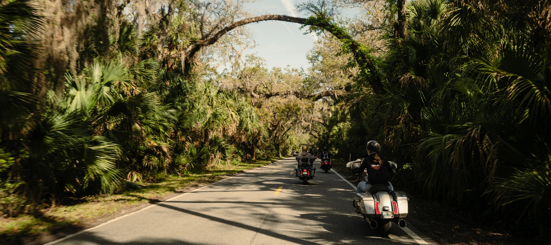 Ormond Scenic Loop & Trail Motorcycle Ride | Harley-Davidson USA