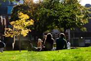 Why Are Green Spaces Important Bruntwood