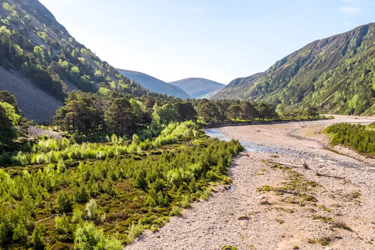 Travel that Gives Back | Pinwheel