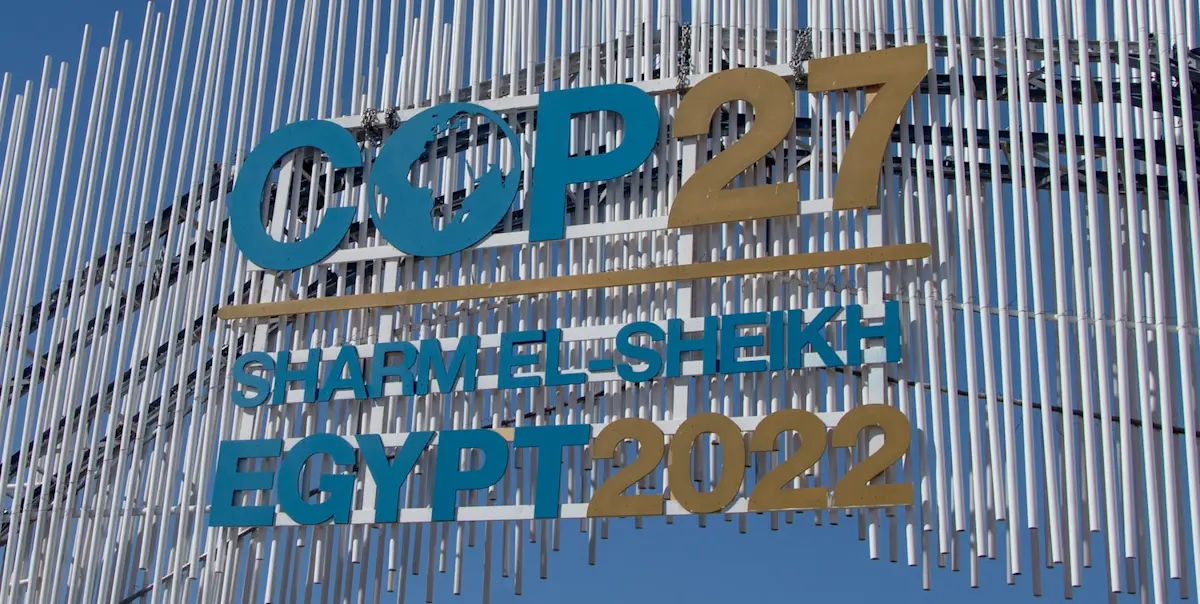 COP-out or progress - where does COP27 leave us? | Pinwheel