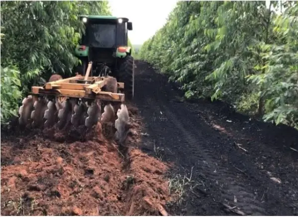 Aperam BioEnergia Biochar- Brazil | Pinwheel