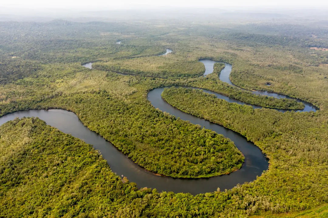 Southern Cardamom Rainforest Conservation | Pinwheel
