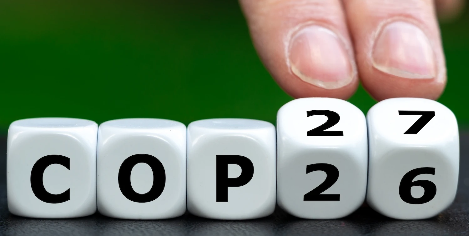 What to expect from COP27 | Pinwheel