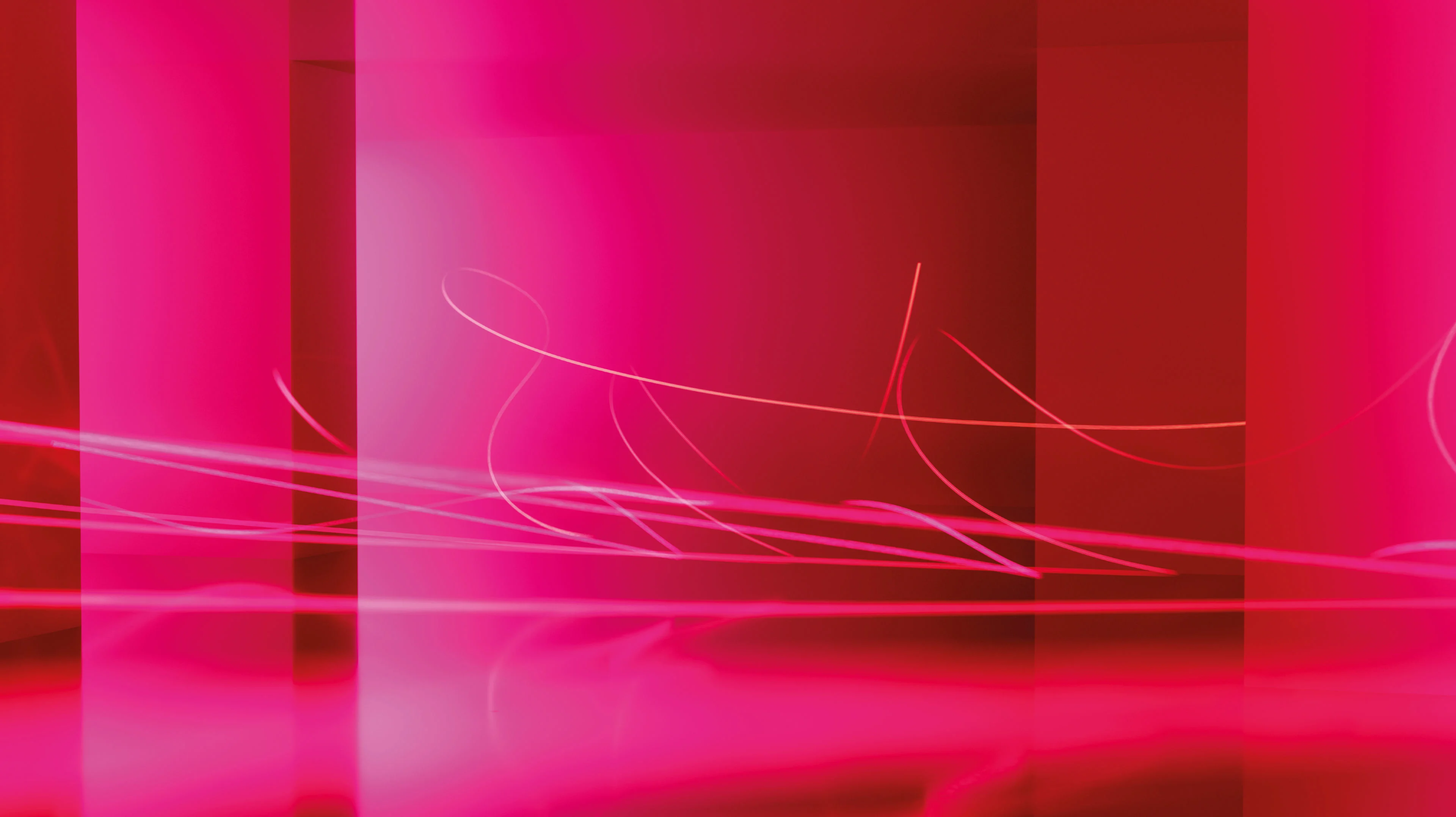 Frieze Los Angeles | Pinwheel