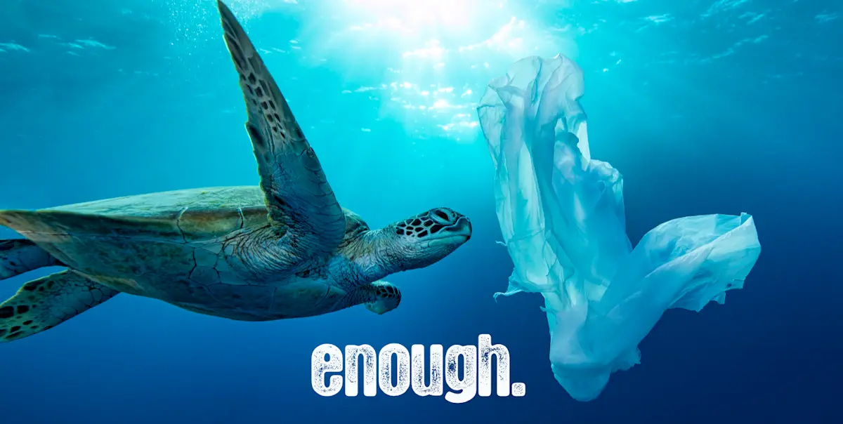 Single Use Plastic Water Bottles | Pinwheel