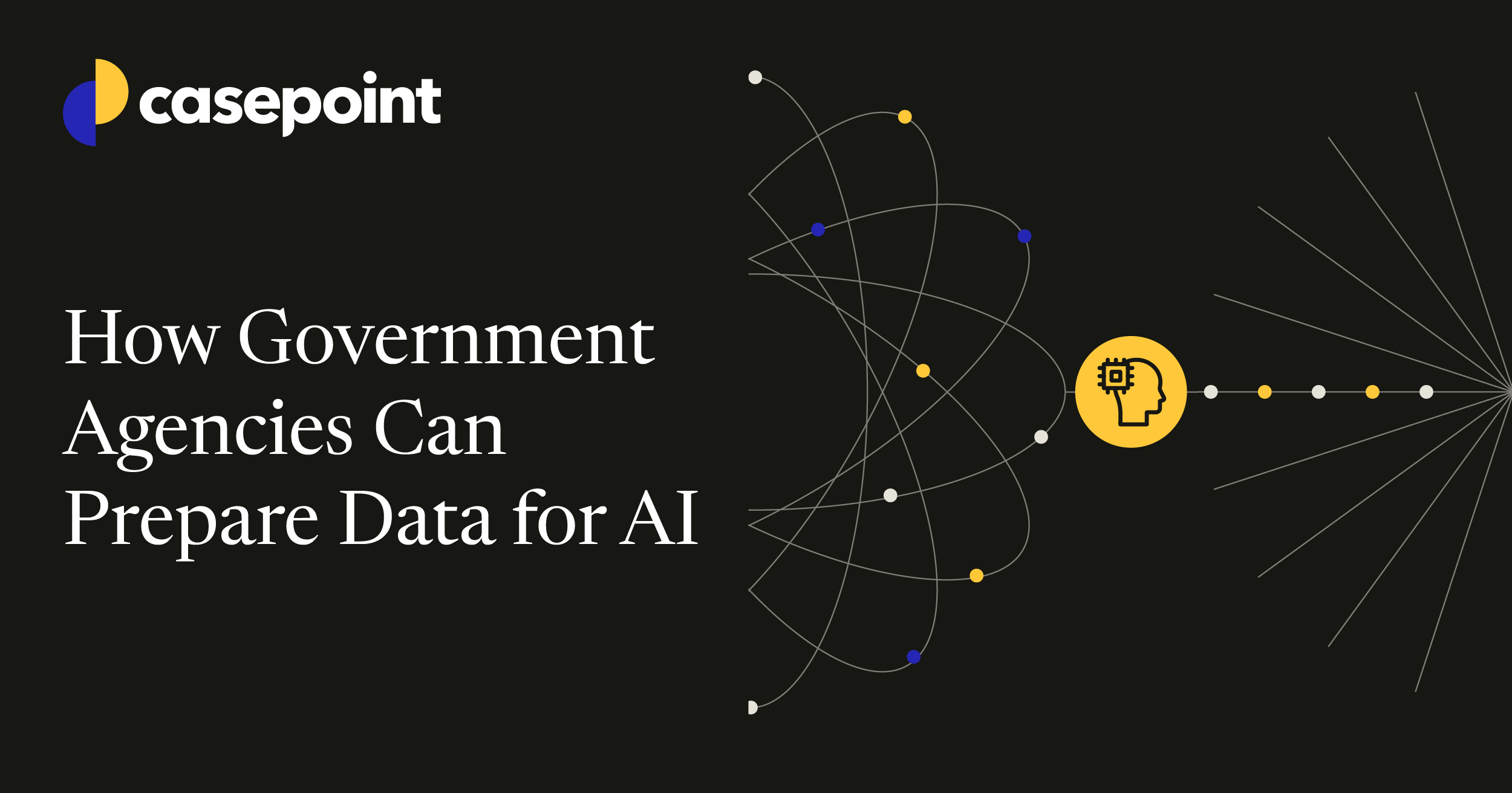 Preparing Data for AI: A Guide for Government Agencies | Casepoint