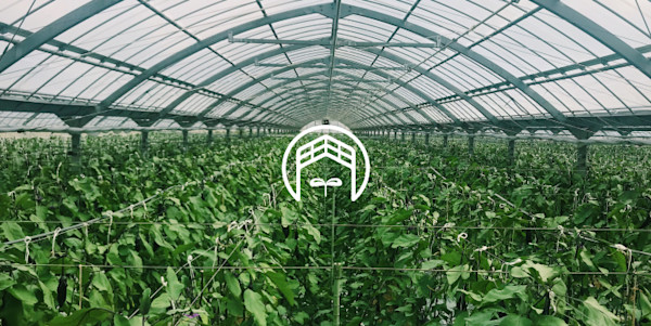 farm watch | GiFT（ギフト）株式会社