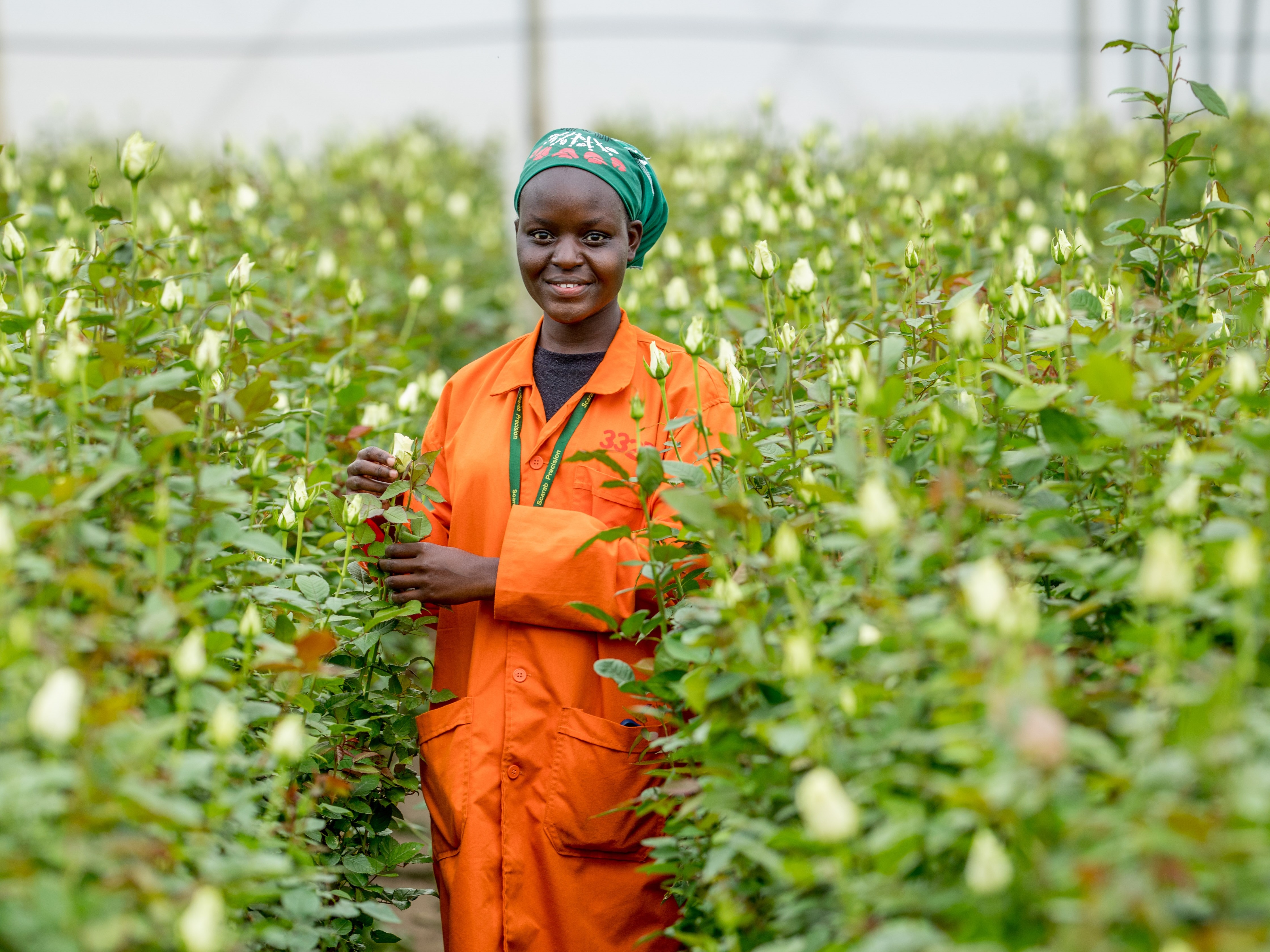 Fairtrade and international development - Co-op