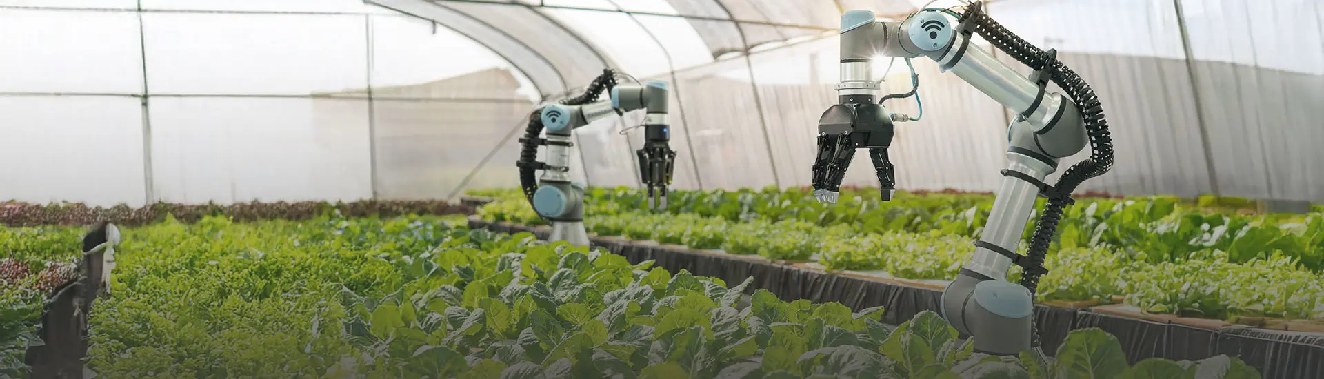 Computers for Smart Agriculture