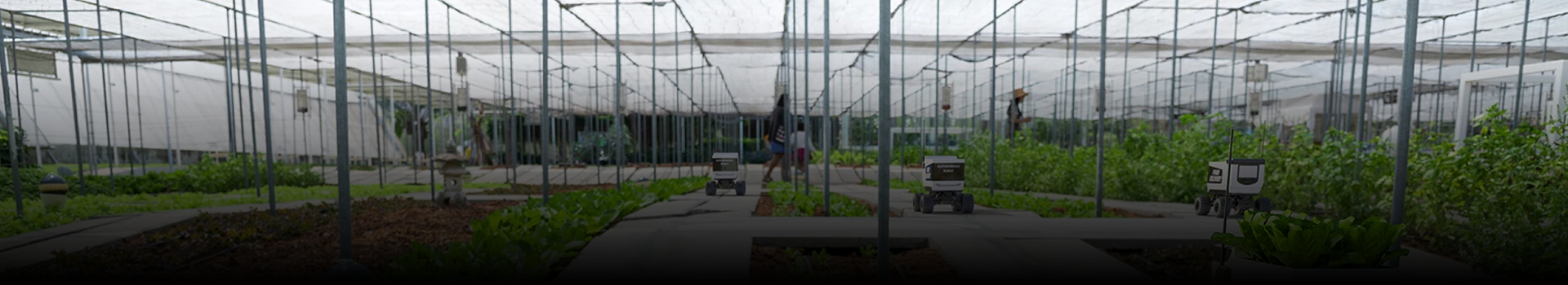 Computers for Smart Agriculture