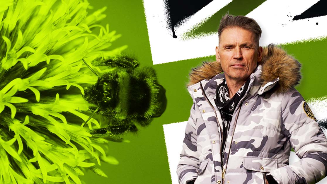 Green Britain…How rewilding can bring our wildlife back from the brink ...