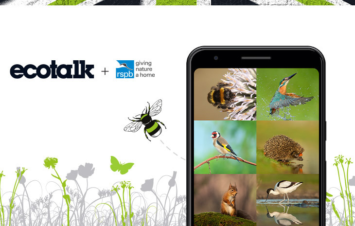 Ecotalk + RSPB: the new mobile phone provider | Ecotricity