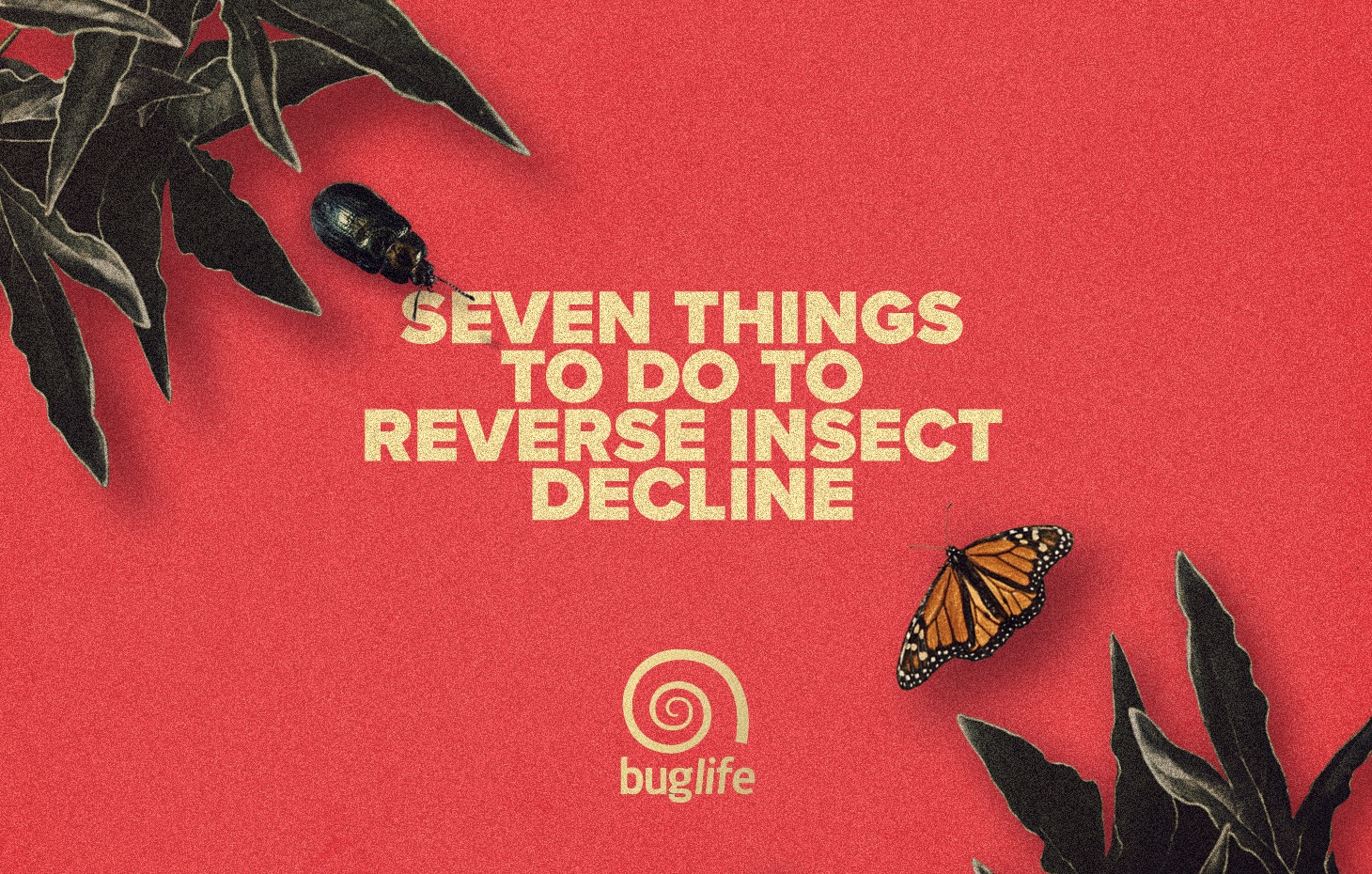Seven things to do to reverse insect decline | Ecotricity