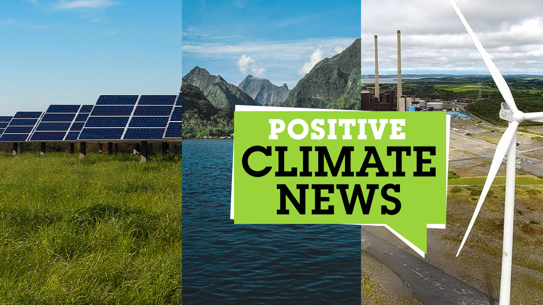 June's positive climate news | Ecotricity