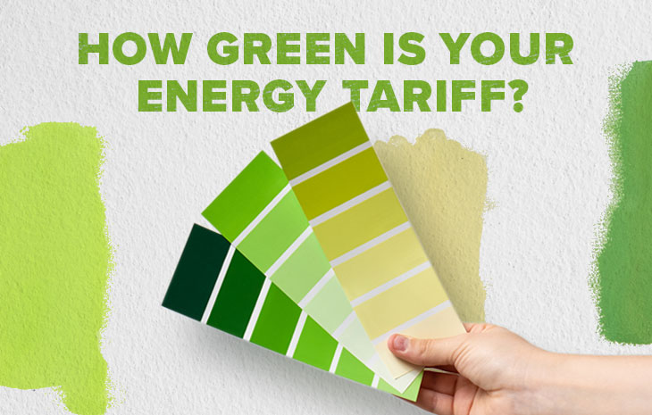 Ecotricity declared one of Britain’s greenest energy compani | Ecotricity